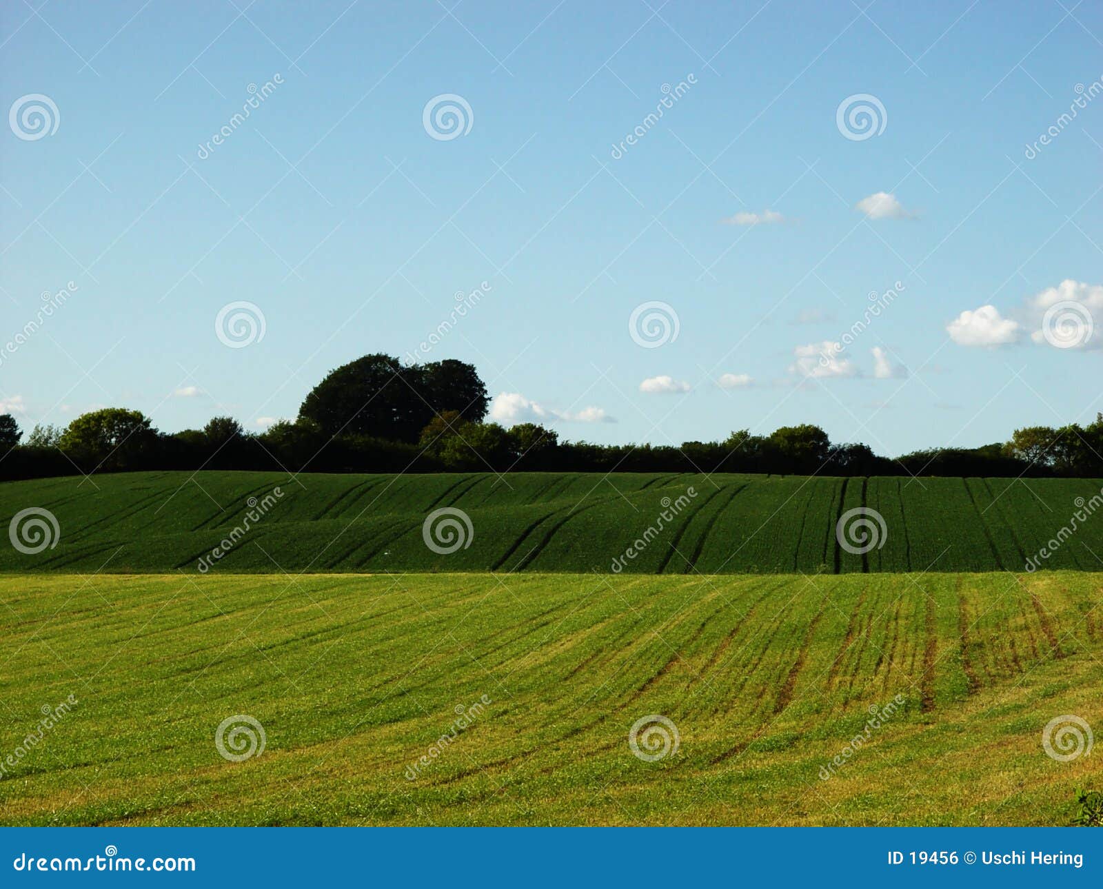 Rolling field stock photo. Image of tracks, track, farming - 19456