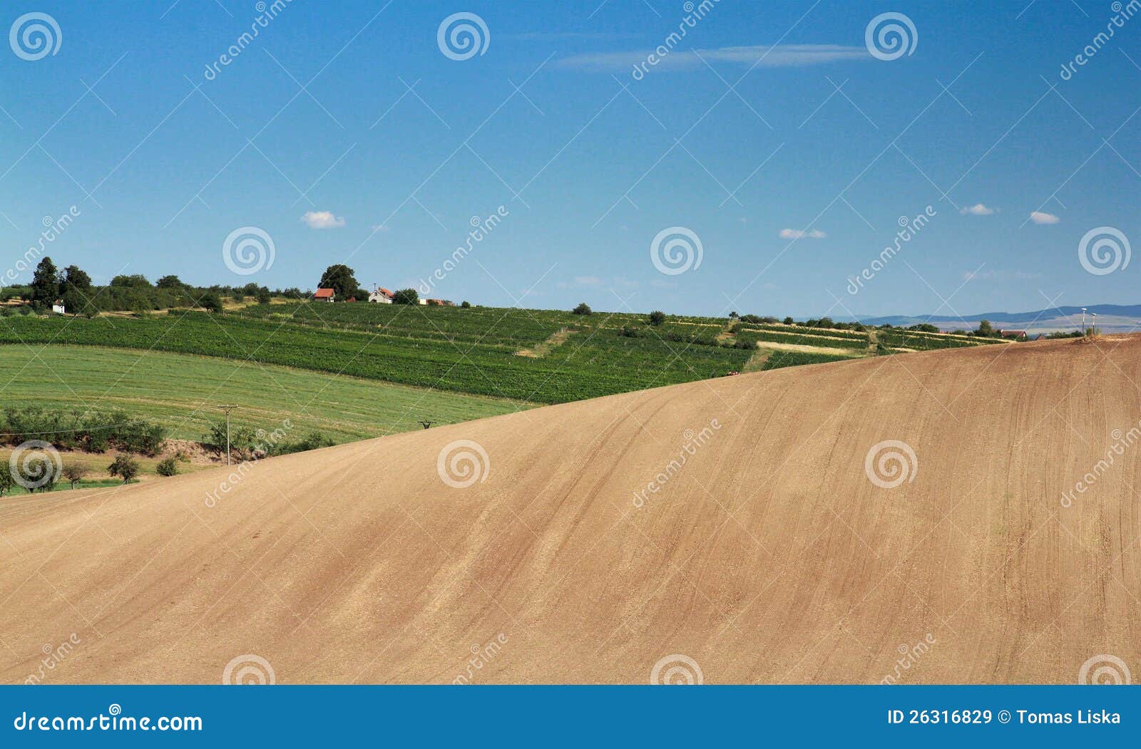 Rolling fields stock image. Image of fertile, landscape - 26316829
