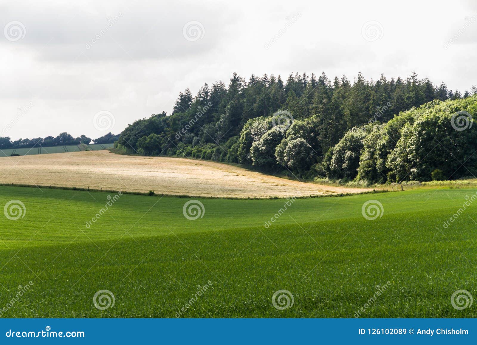 English Countryside Green Fields. Stock Image - Image of rural, britain ...