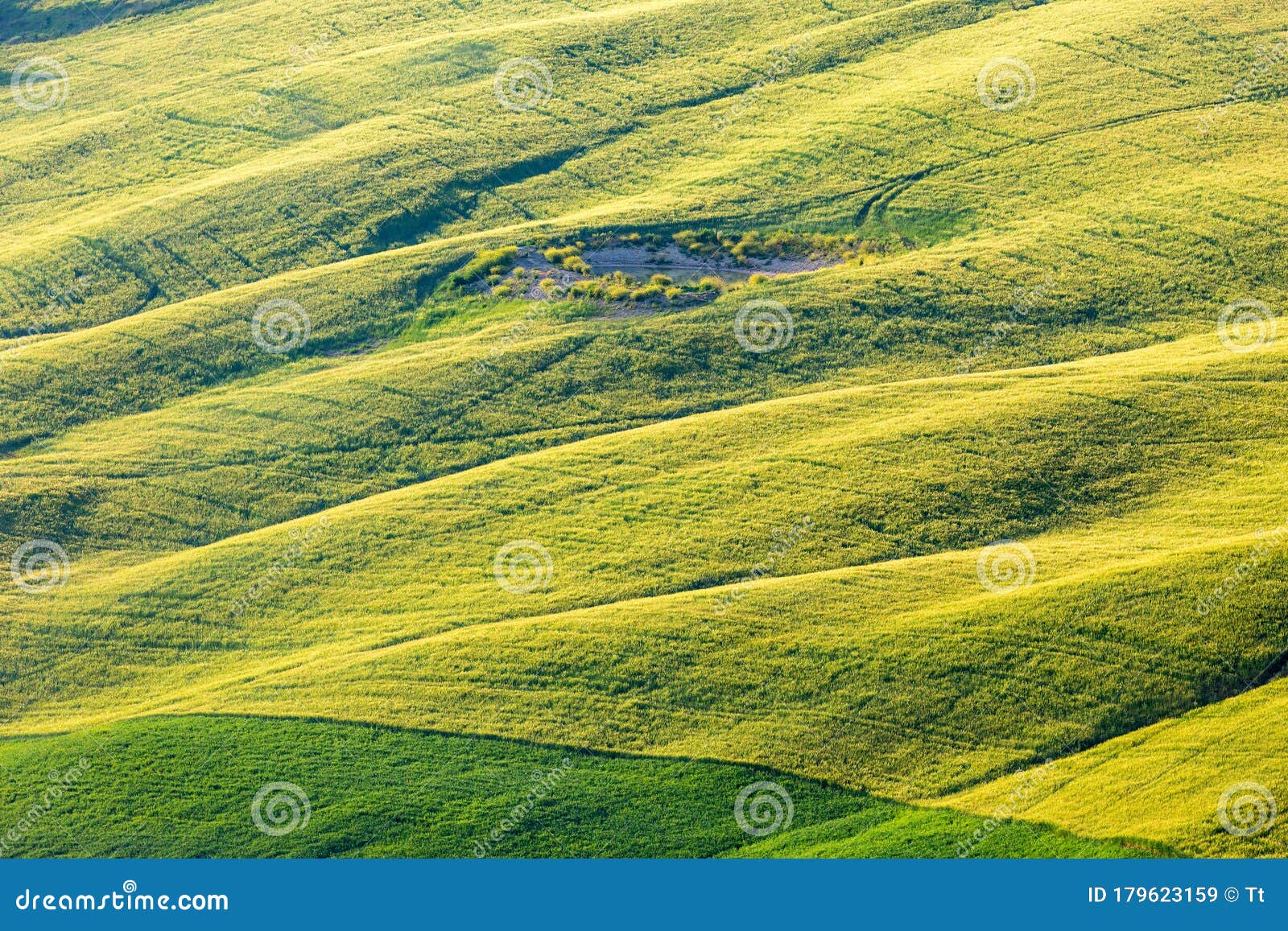 Rolling Fields Landscape