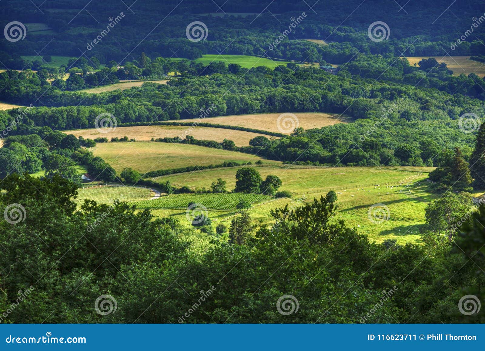 Rolling Fields of the South Downs in Mid Summer, English Country Stock ...