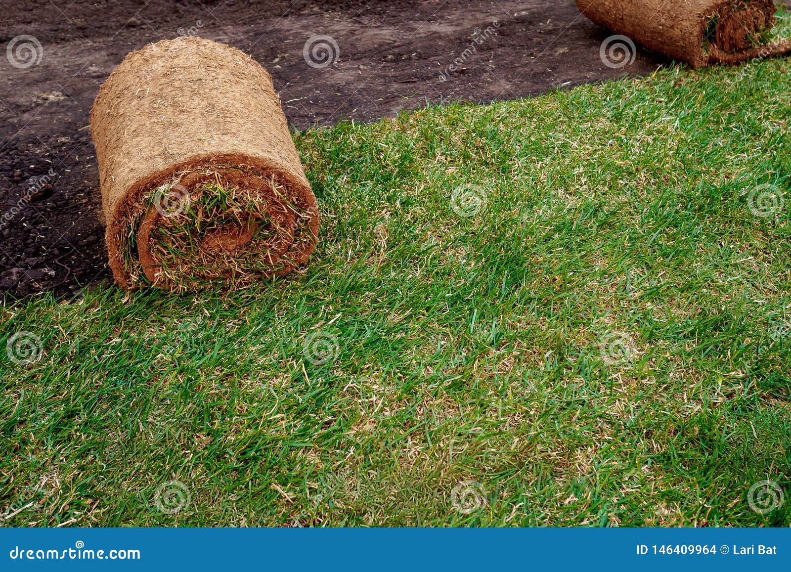 Rolling a Grass Roll with Ground for a New Lawn Stock Photo - Image of ...