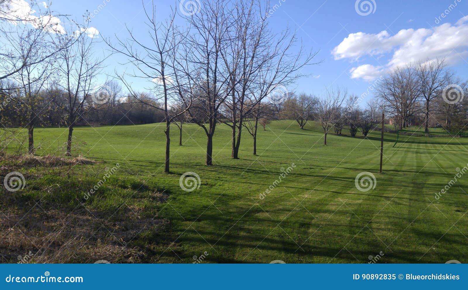 Rolling Green Acres in the Countryside Stock Image - Image of spring ...