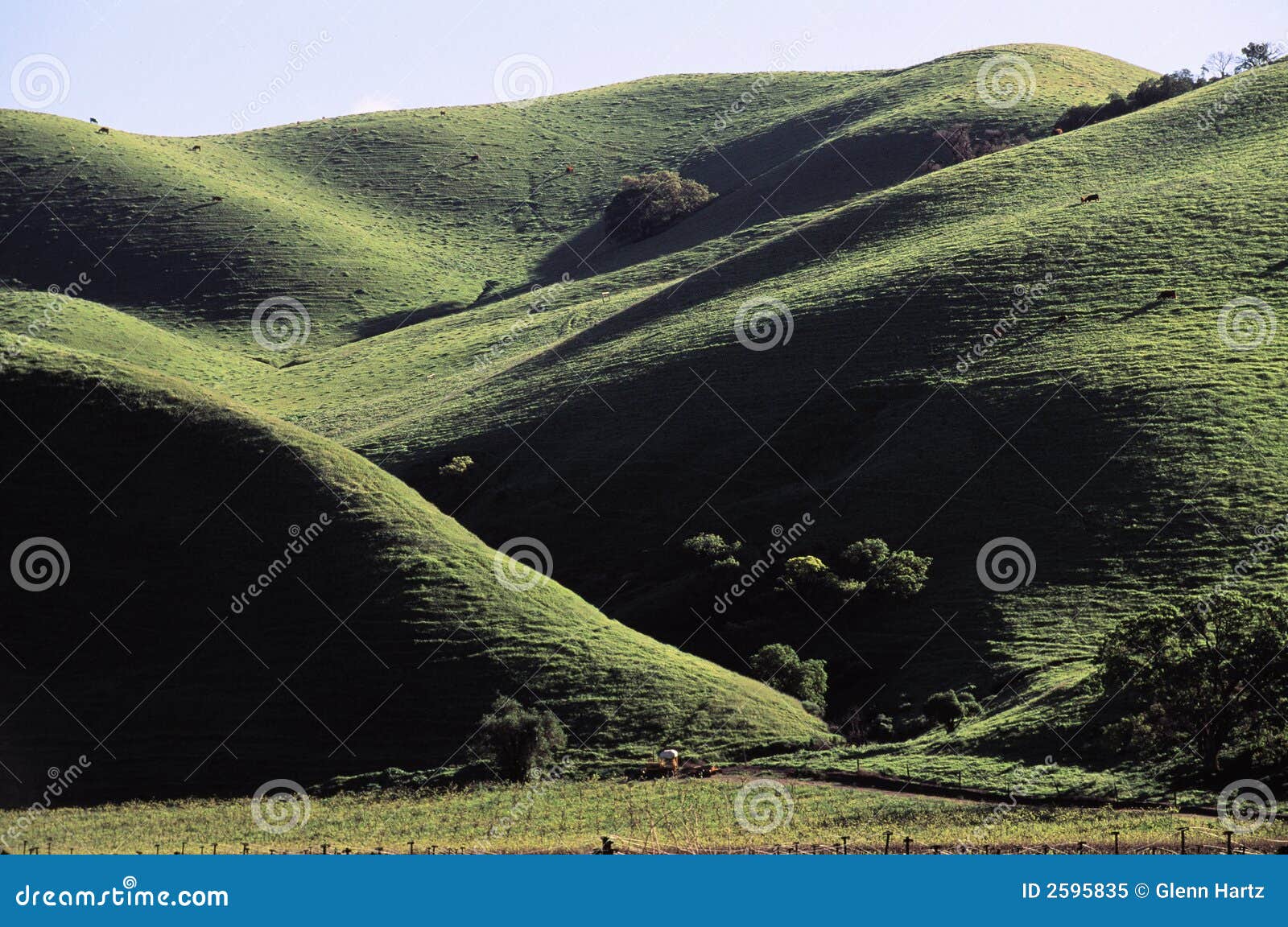 Rolling green hillside stock image. Image of daylight - 2595835