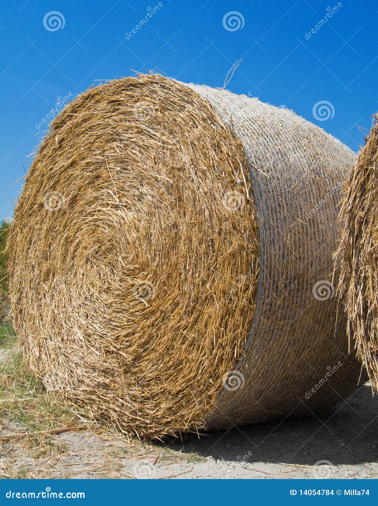 Rolling Haystack. stock photo. Image of feed, farmhouse - 14054784
