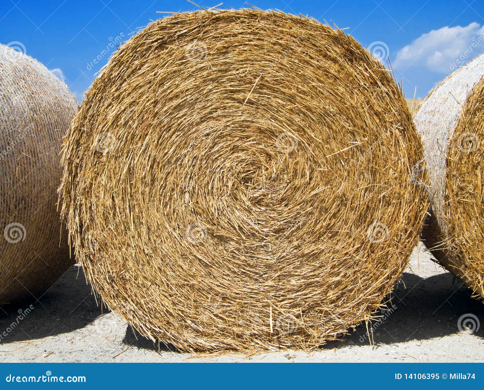 Rolling haystack. stock image. Image of golden, harvesting - 14106395