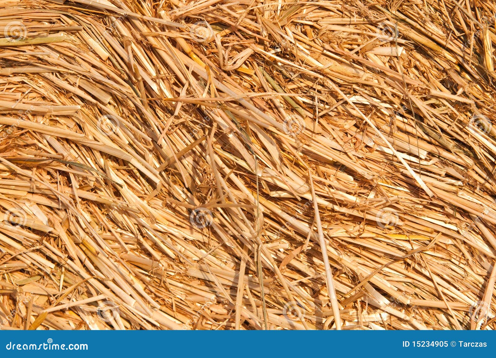 Rolling haystack stock image. Image of landscaped, harvest - 15234905