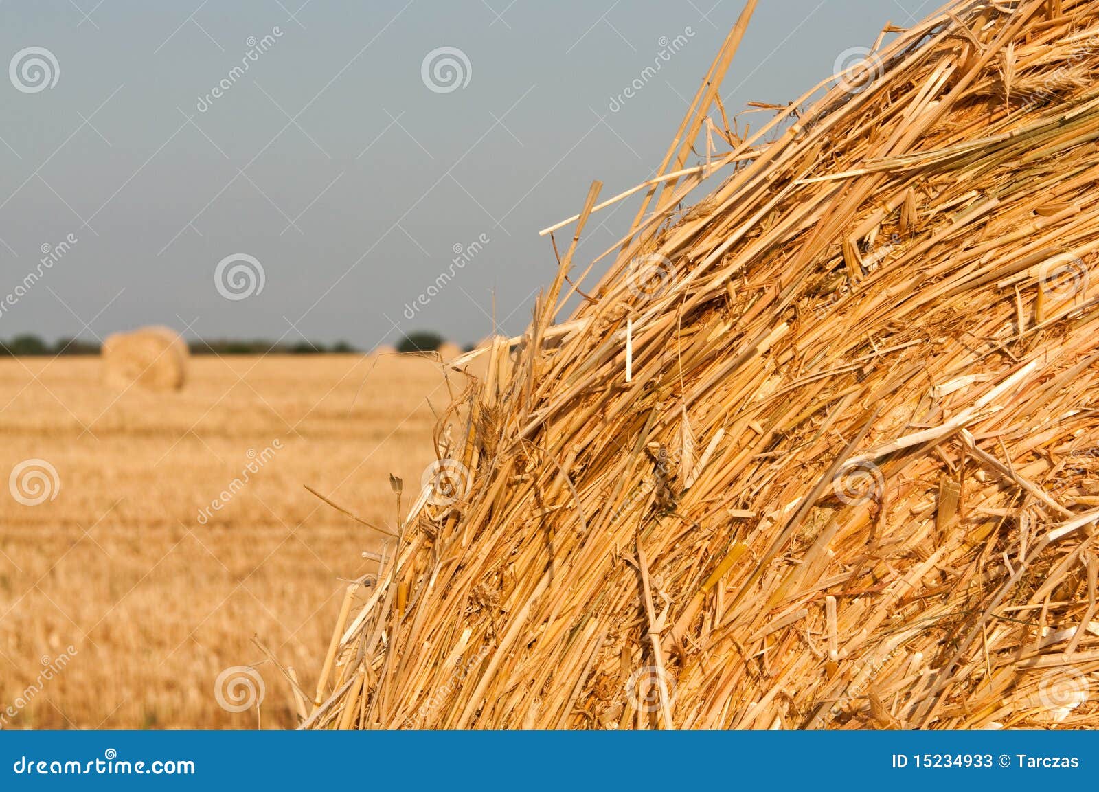 Rolling haystack stock image. Image of bale, landscaped - 15234933