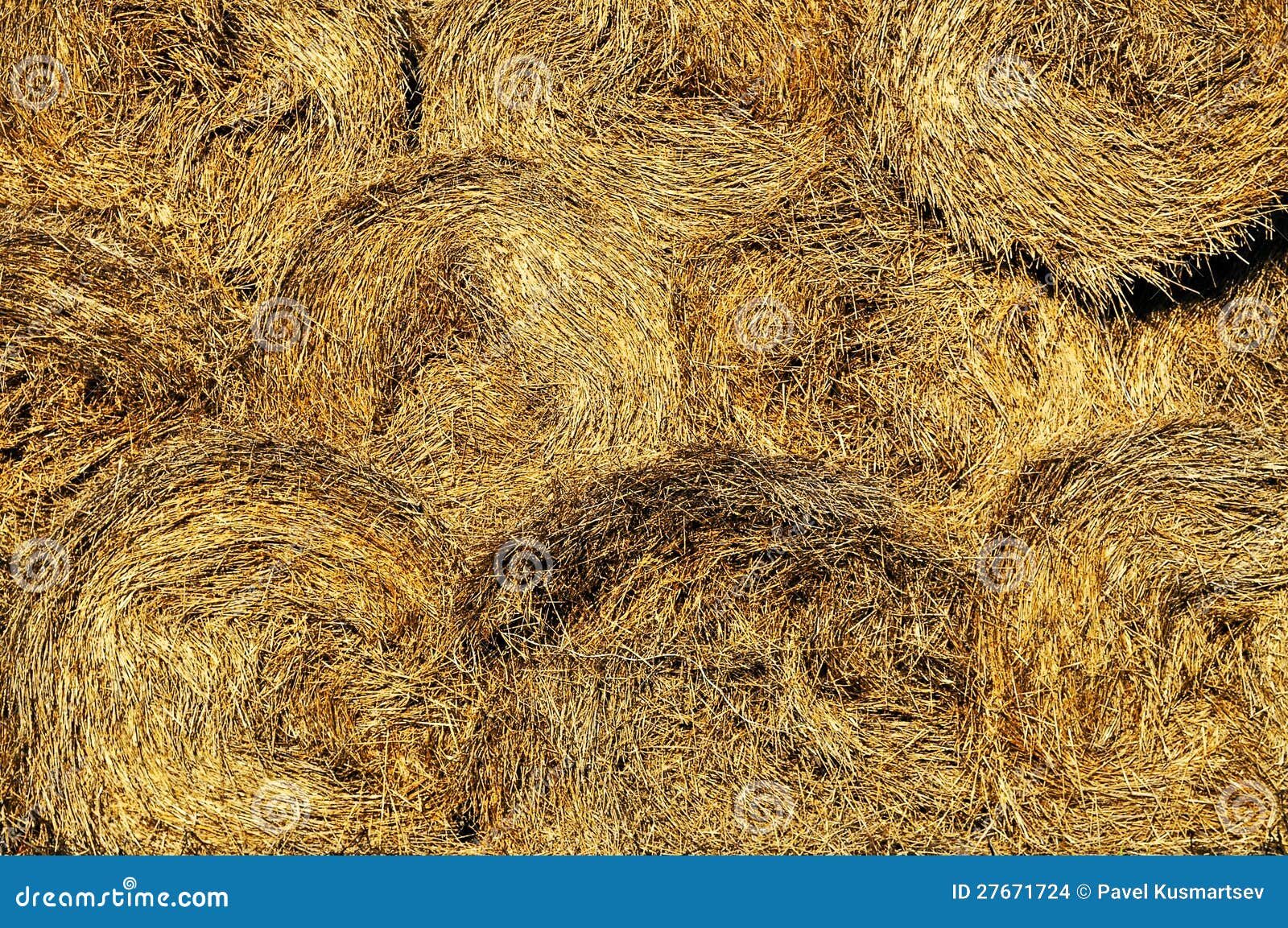 Rolling Haystack stock photo. Image of grass, countryside - 27671724