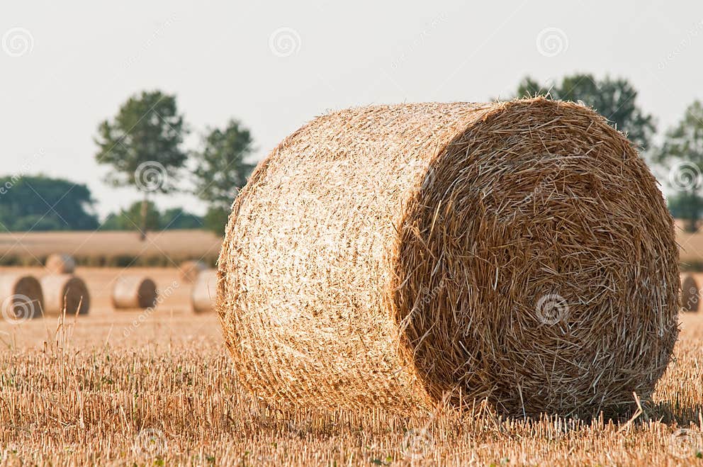 Rolling Haystack on Farmer Field Stock Photo - Image of landscape ...