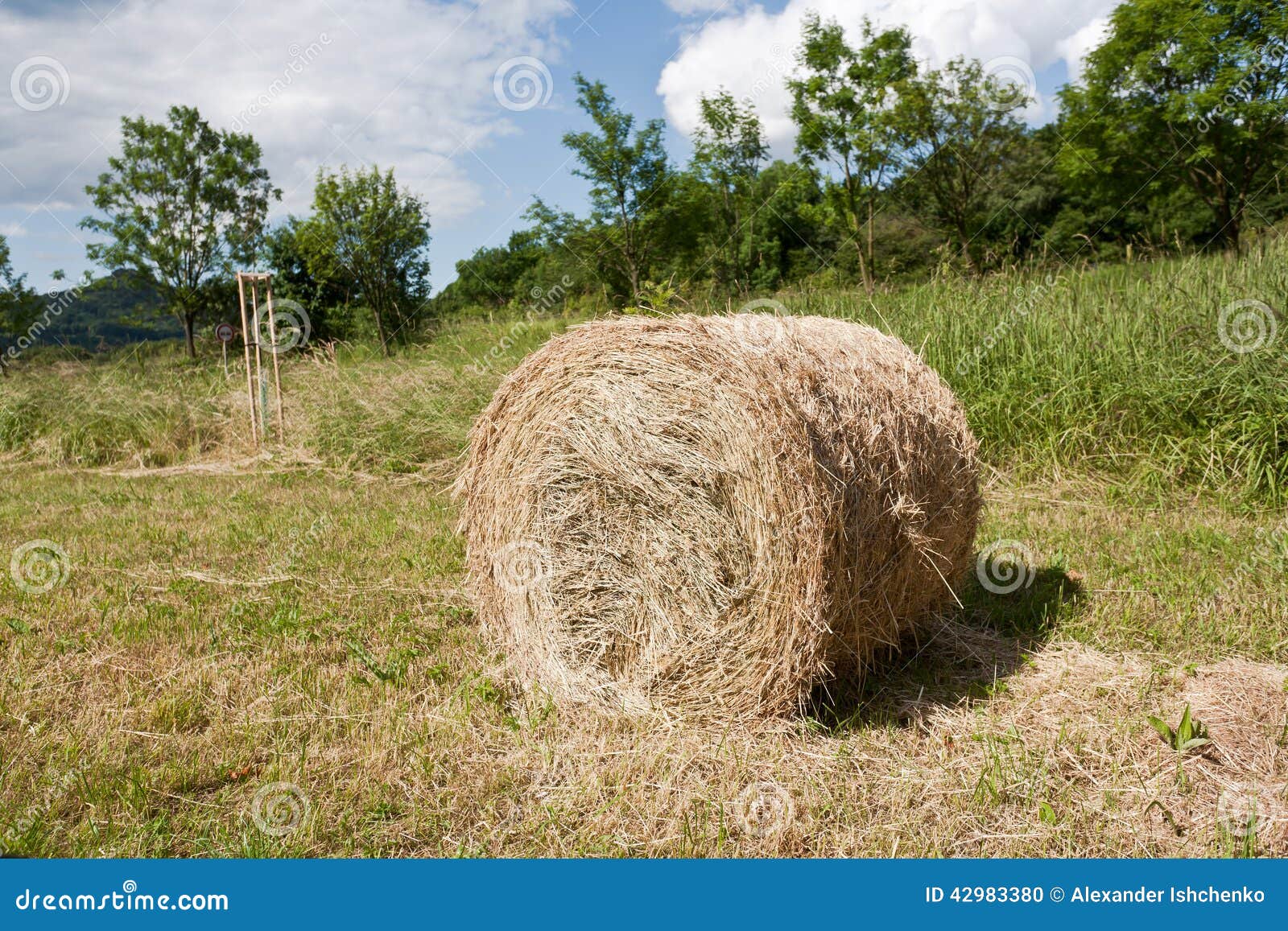 Rolling haystack. stock photo. Image of agriculture, green - 42983380