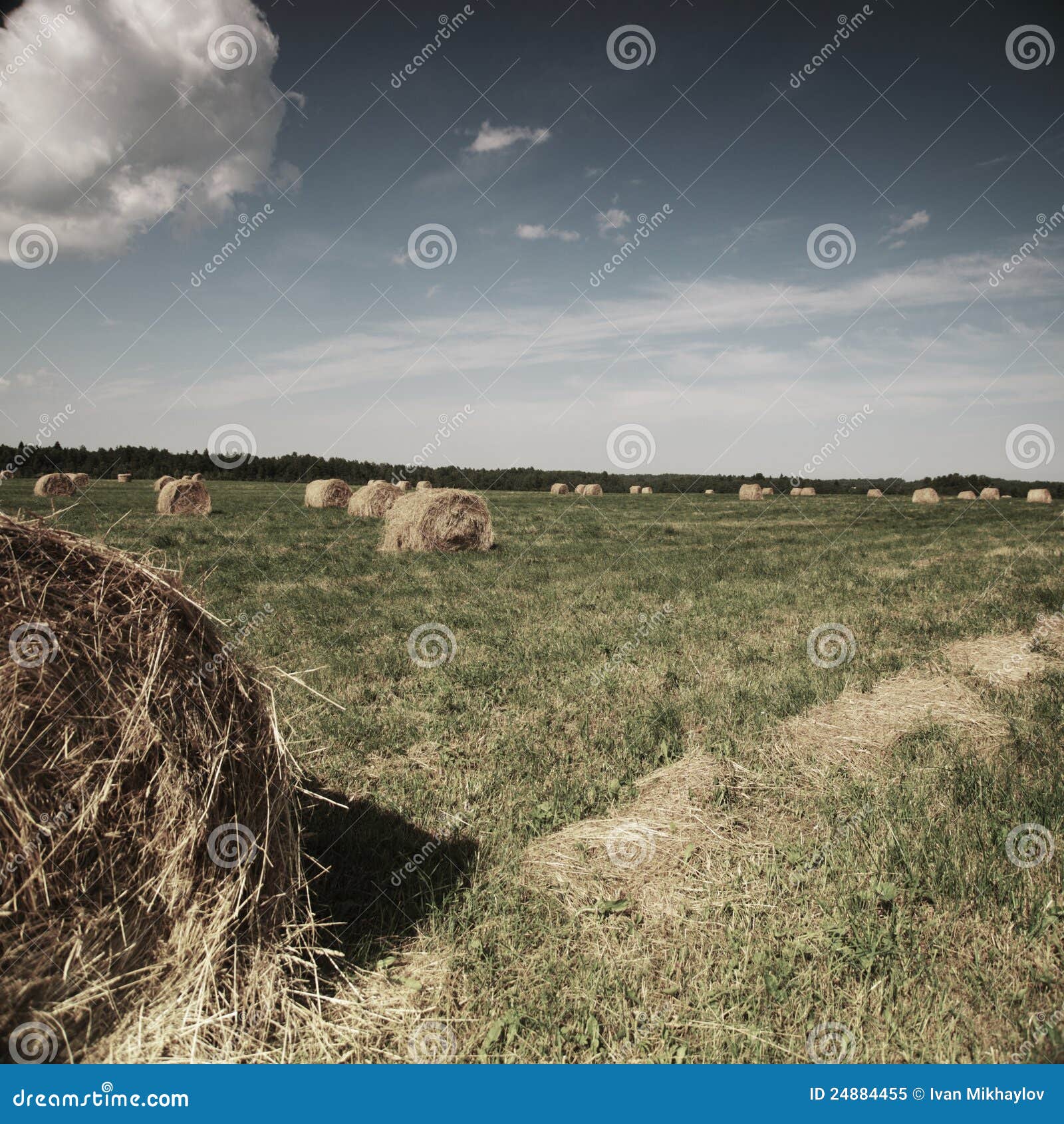 Rolling Haystack on Summer Field Stock Image - Image of farming, corn ...