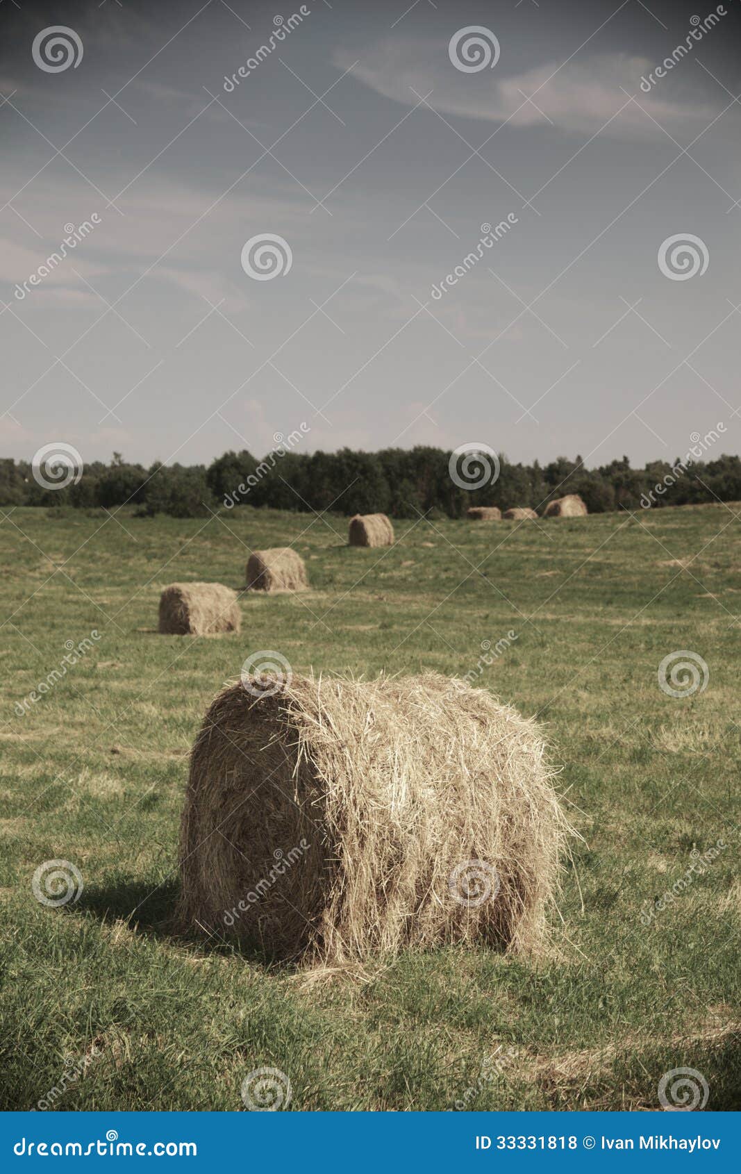 Rolling haystack stock photo. Image of harvesting, feed - 33331818