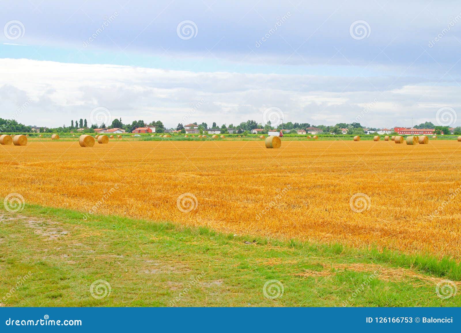 Field Rolling Haystack stock image. Image of stack, straw - 126166753