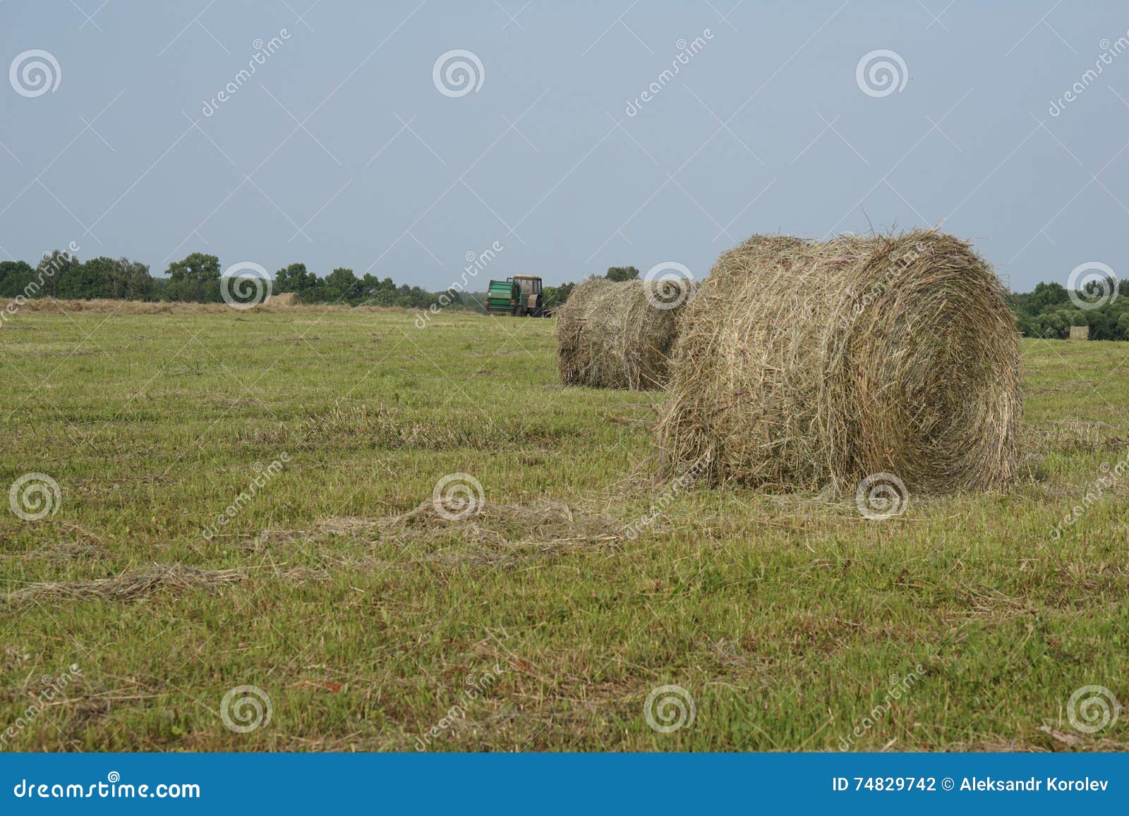 Rolling Haystacks in Countryside. Stock Photo - Image of country ...