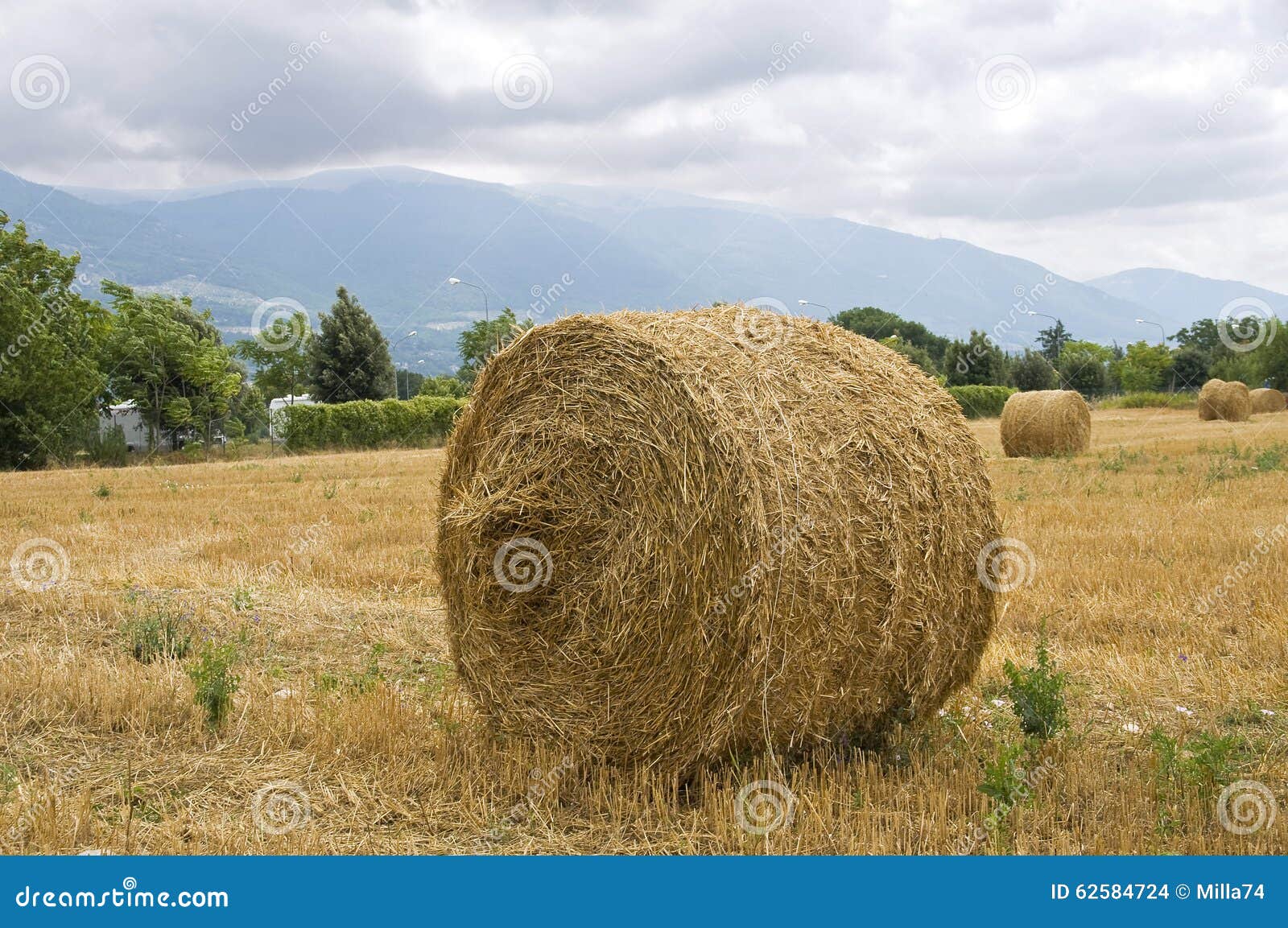Rolling haystacks. stock photo. Image of agriculture - 62584724