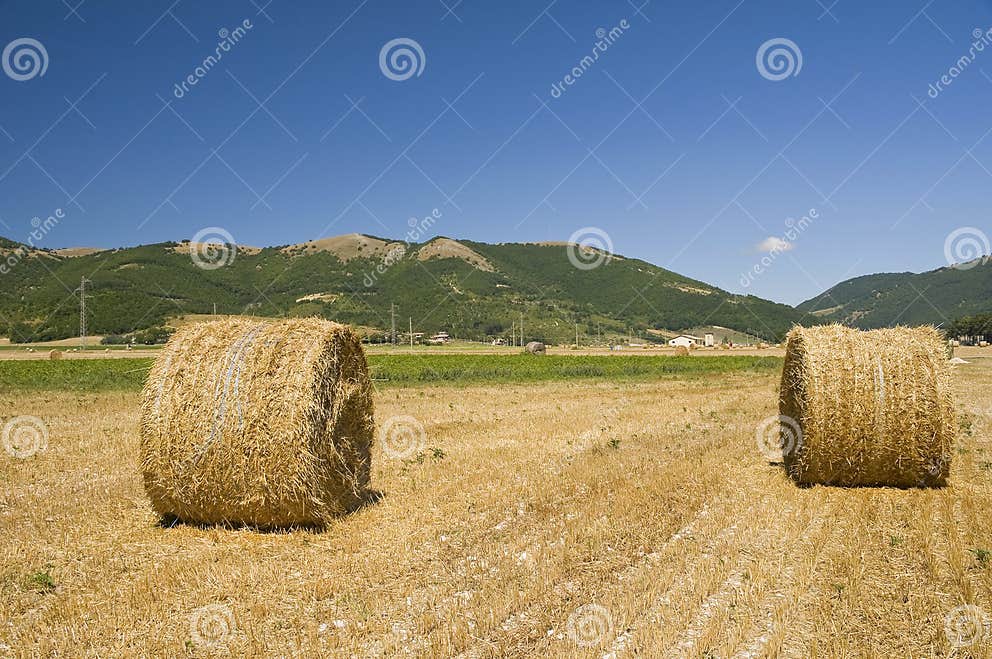 Rolling haystacks. stock image. Image of haystack, haystacks - 62882149
