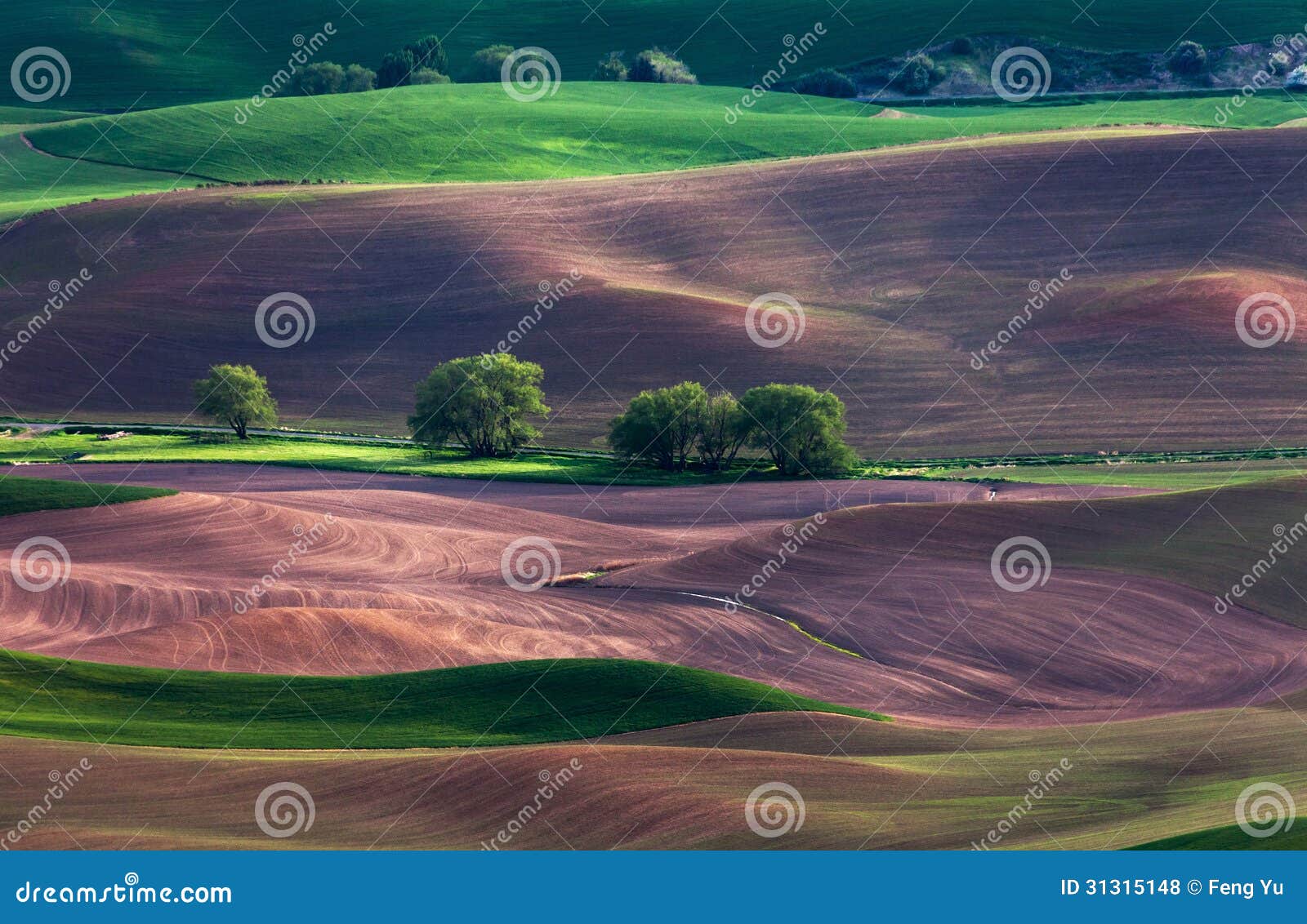 Rolling hill and Farm Land stock photo. Image of spring - 31315148