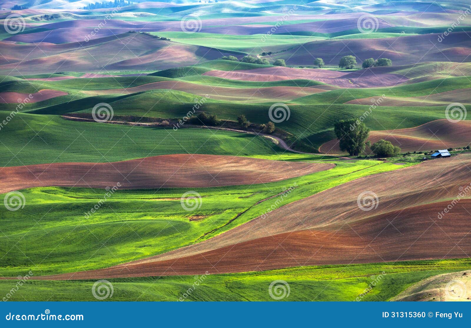 Rolling Hill And Farm Land Royalty-Free Stock Image | CartoonDealer.com ...
