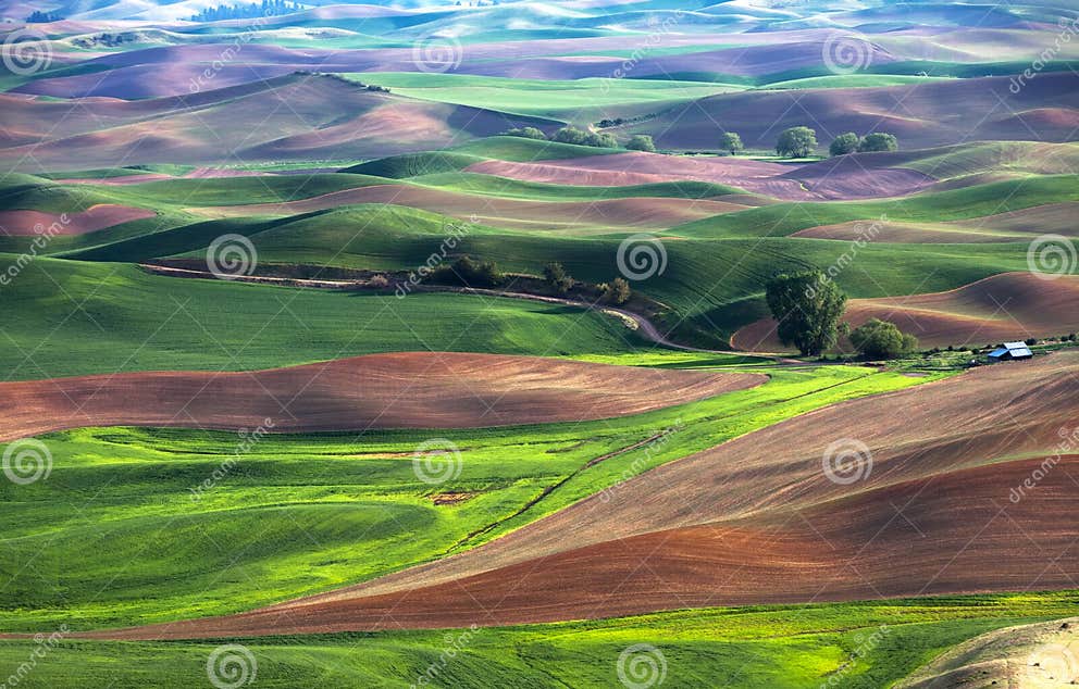 Rolling hill and Farm Land stock photo. Image of washington - 31315360