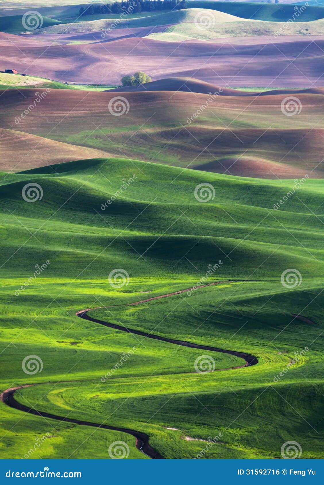 Rolling hill and Farm Land stock photo. Image of agriculture - 31592716