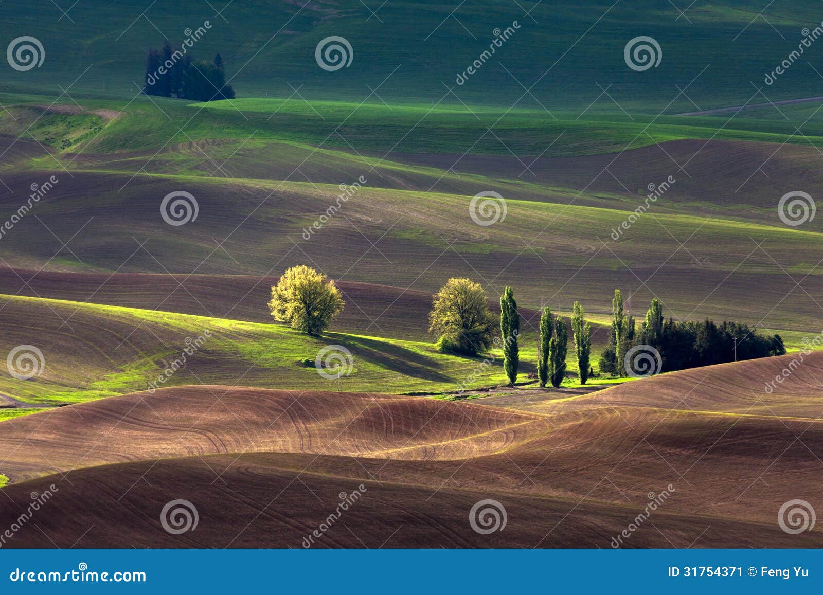 Rolling hill and Farm Land stock image. Image of landscapes - 31754371