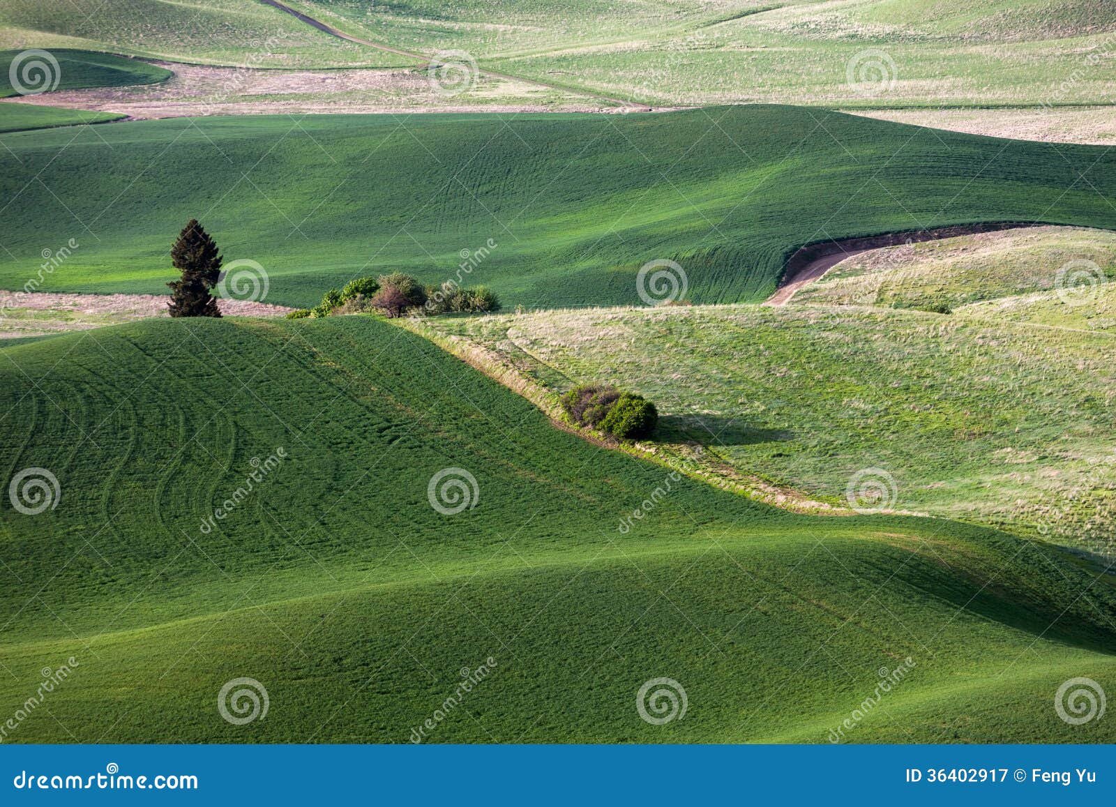 Rolling hill and Farm Land stock image. Image of green - 36402917