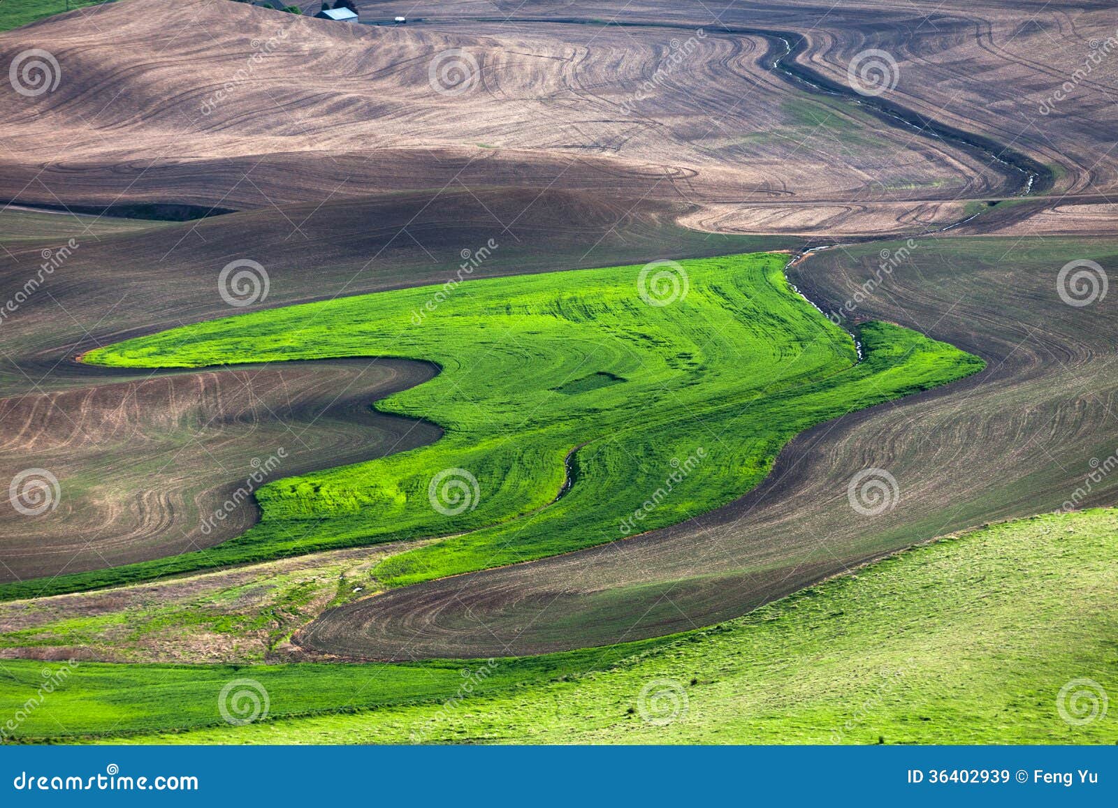 Rolling hill and Farm Land stock image. Image of plant - 36402939