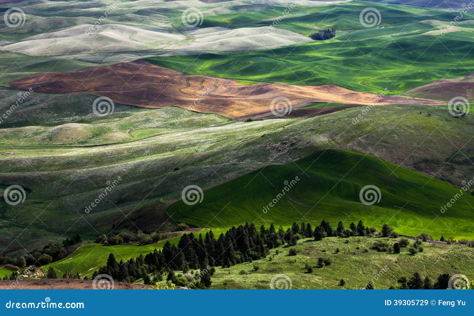 Rolling hill and Farm Land stock image. Image of rolling - 39305729