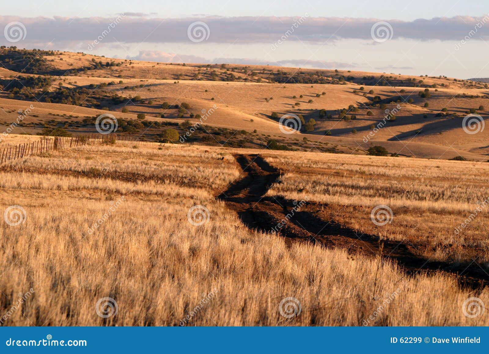 Rolling Hills In Devon Stock Photography | CartoonDealer.com #23503280