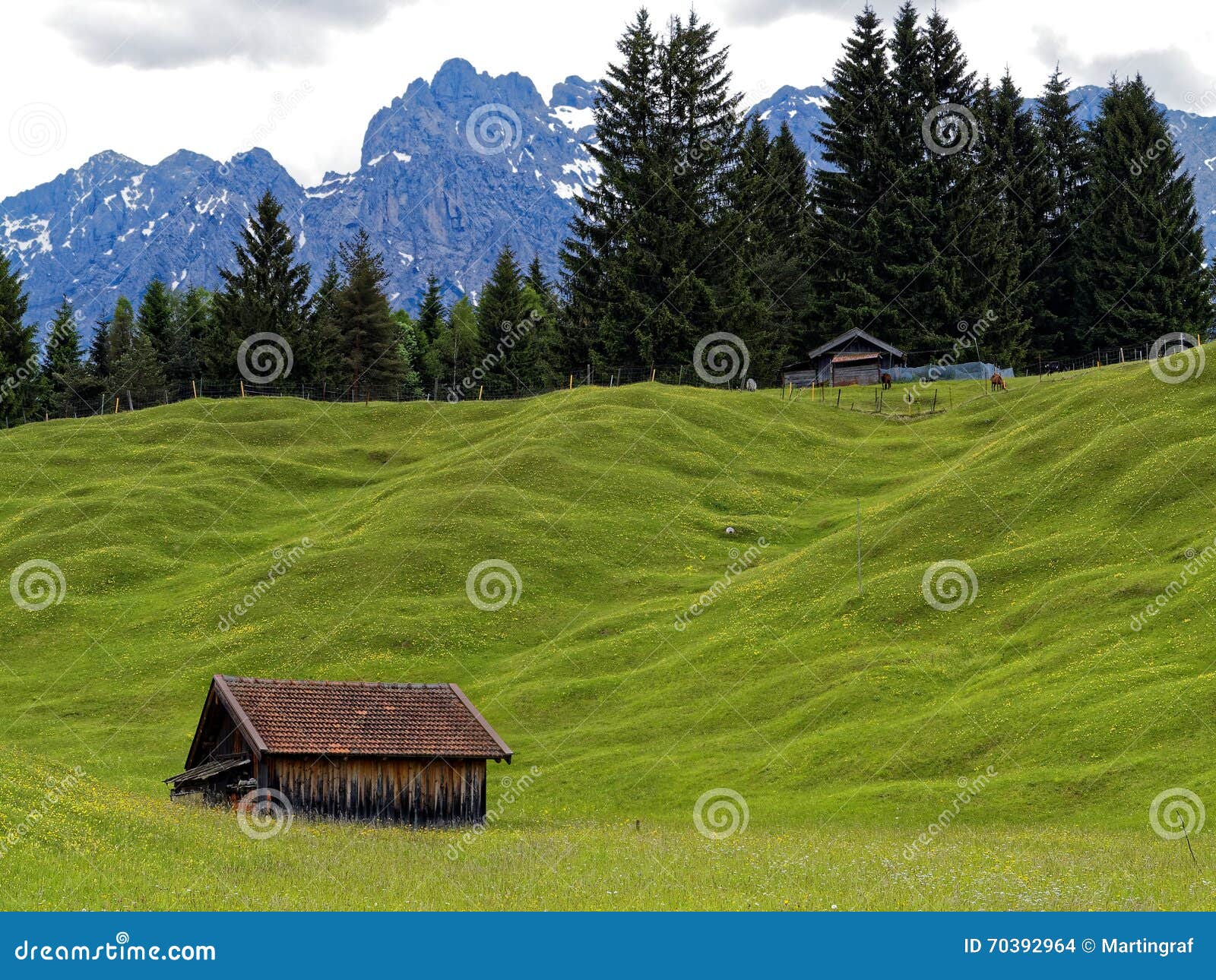 Undulating Hill with Farm Shed in Alpine Landscape at Spring Stock ...