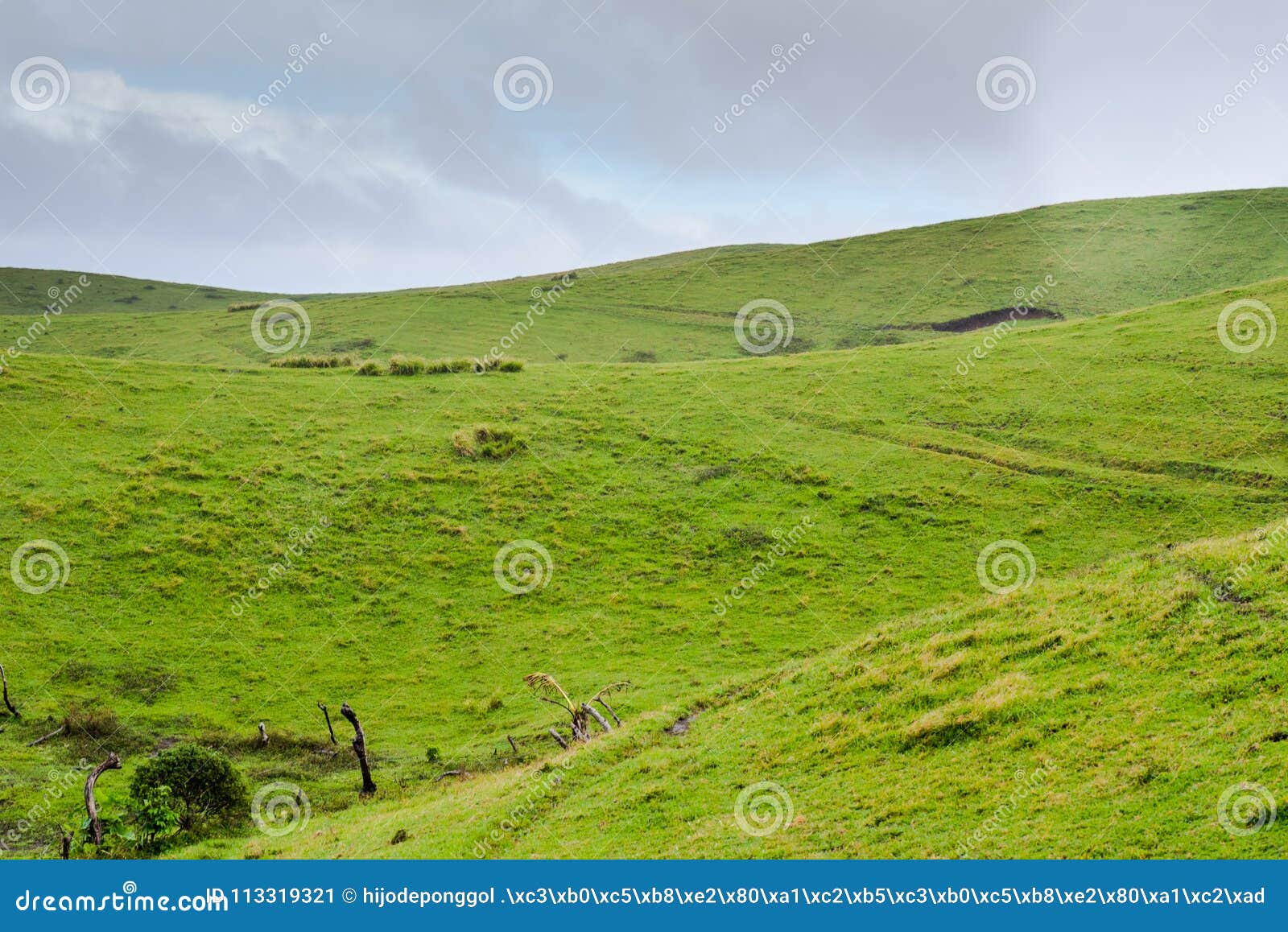 Rolling Hills of Batanes, Philippines Stock Image - Image of batanes ...