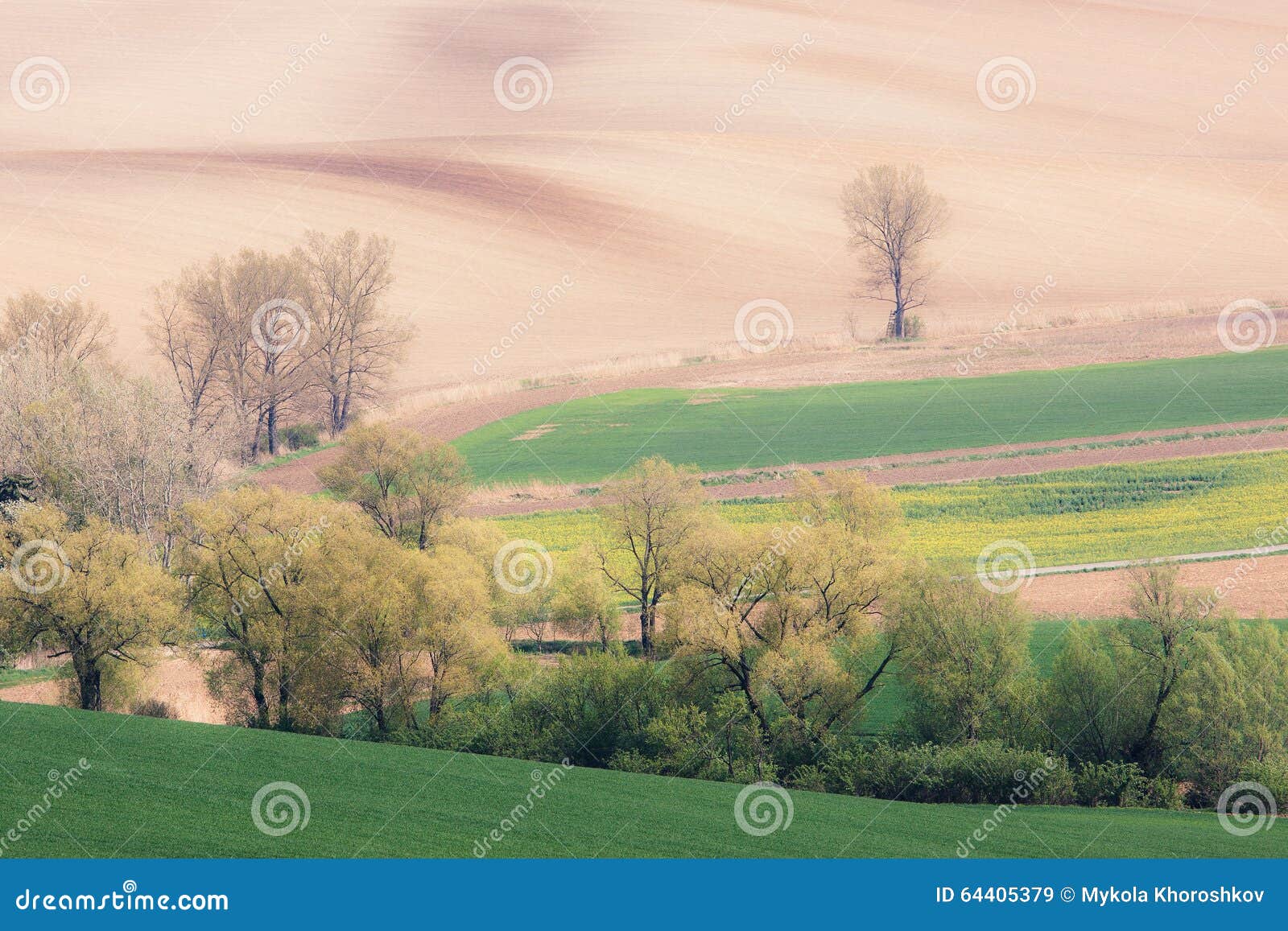 Rolling hills stock image. Image of countryside, waves - 64405379