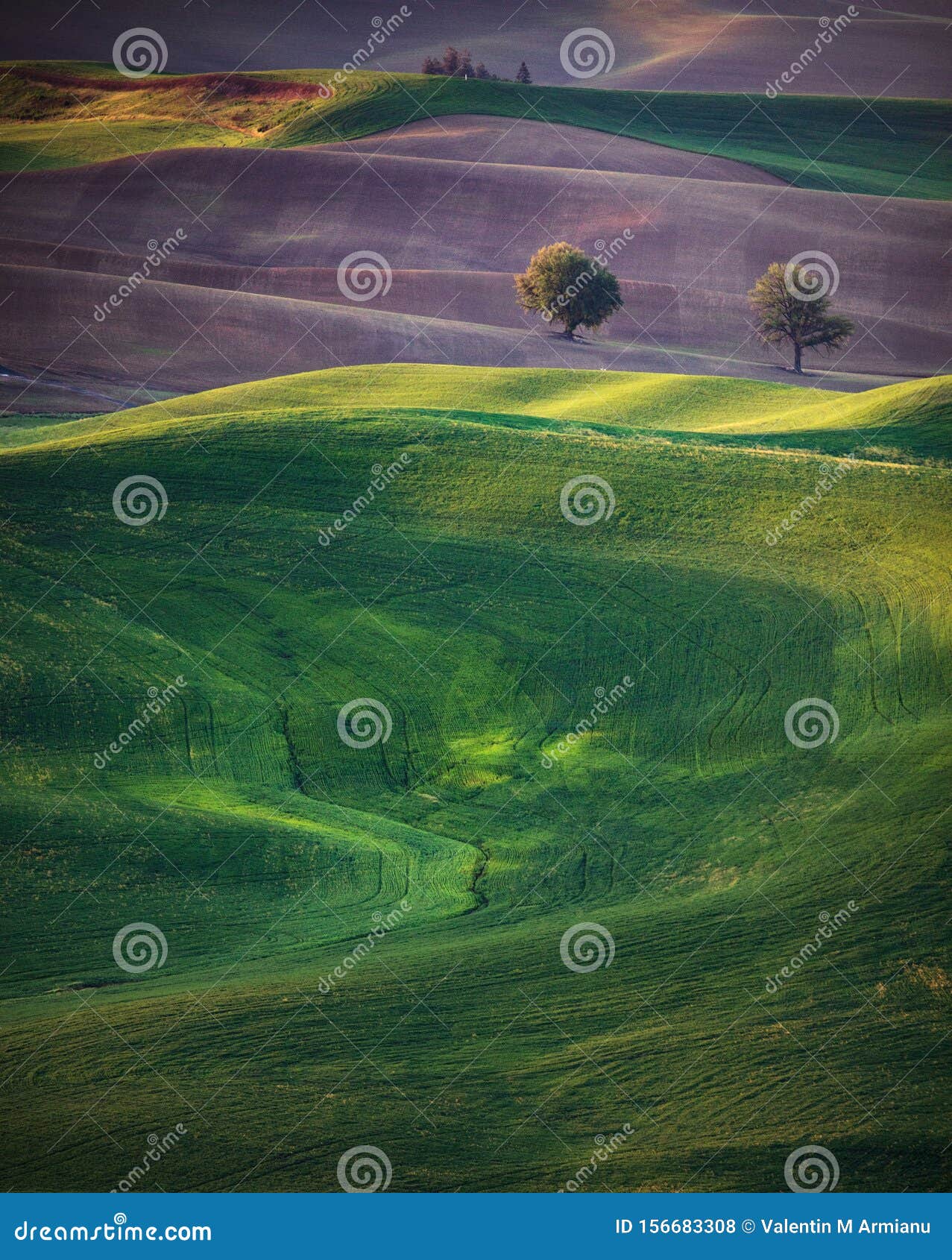 Rolling hills spring stock photo. Image of wallpaper - 156683308