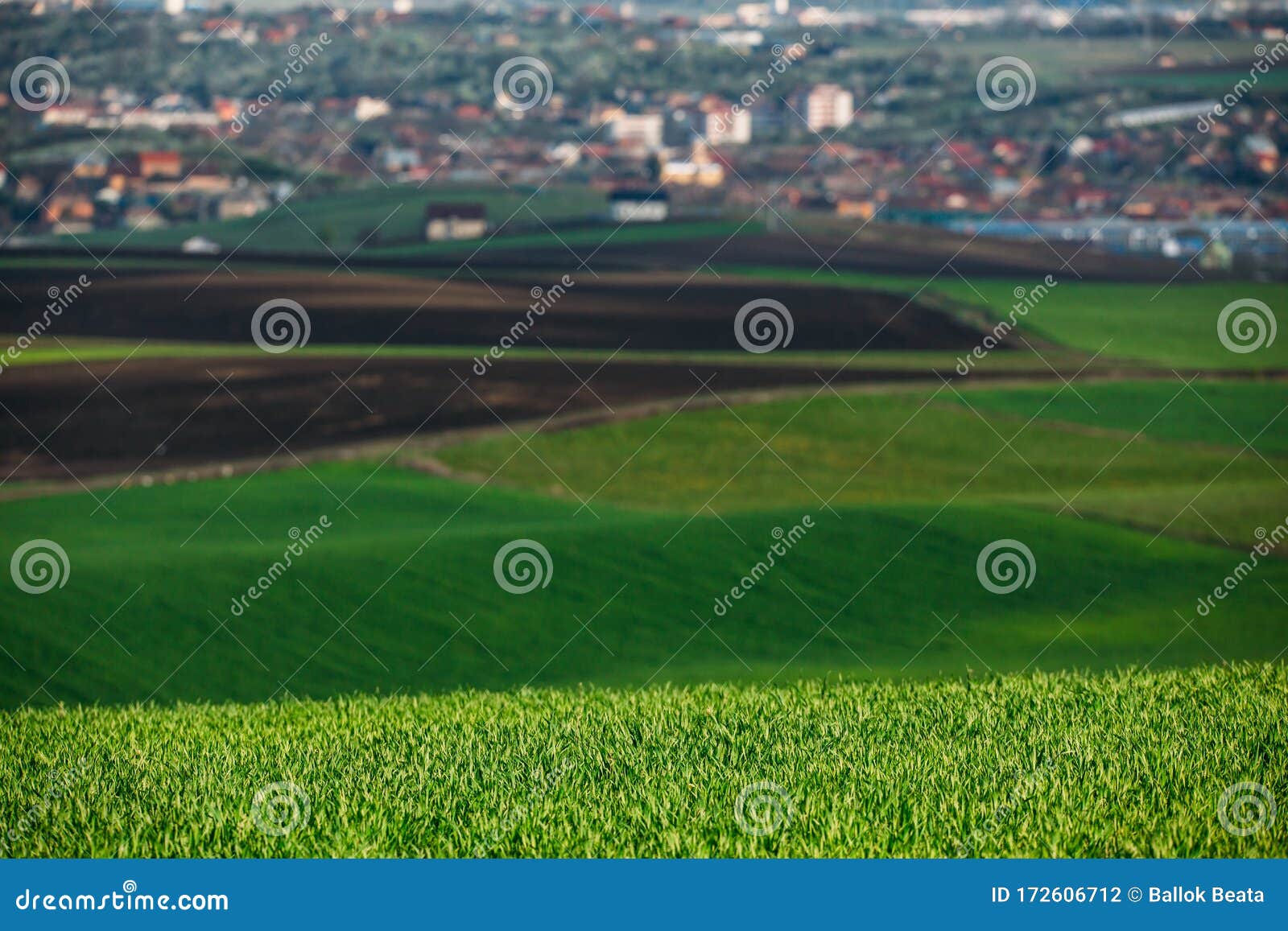 Rolling hills in spring stock photo. Image of pasture - 172606712