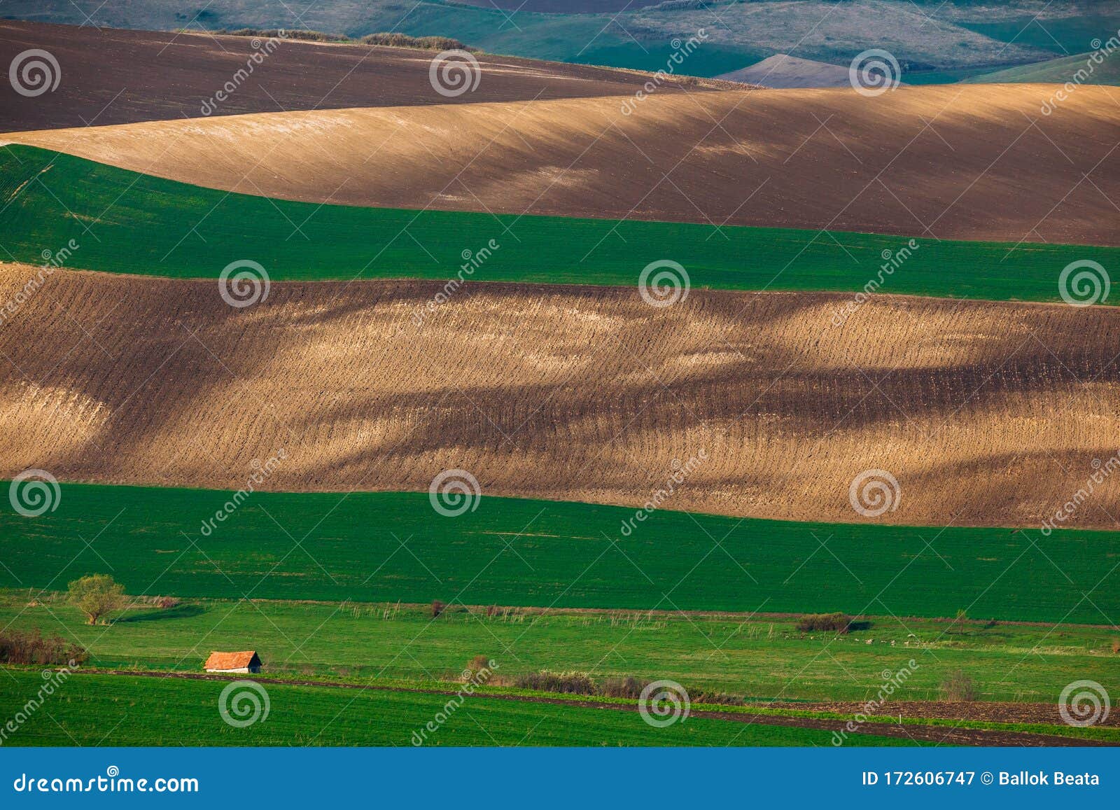 Rolling hills in spring stock image. Image of beautiful - 172606747