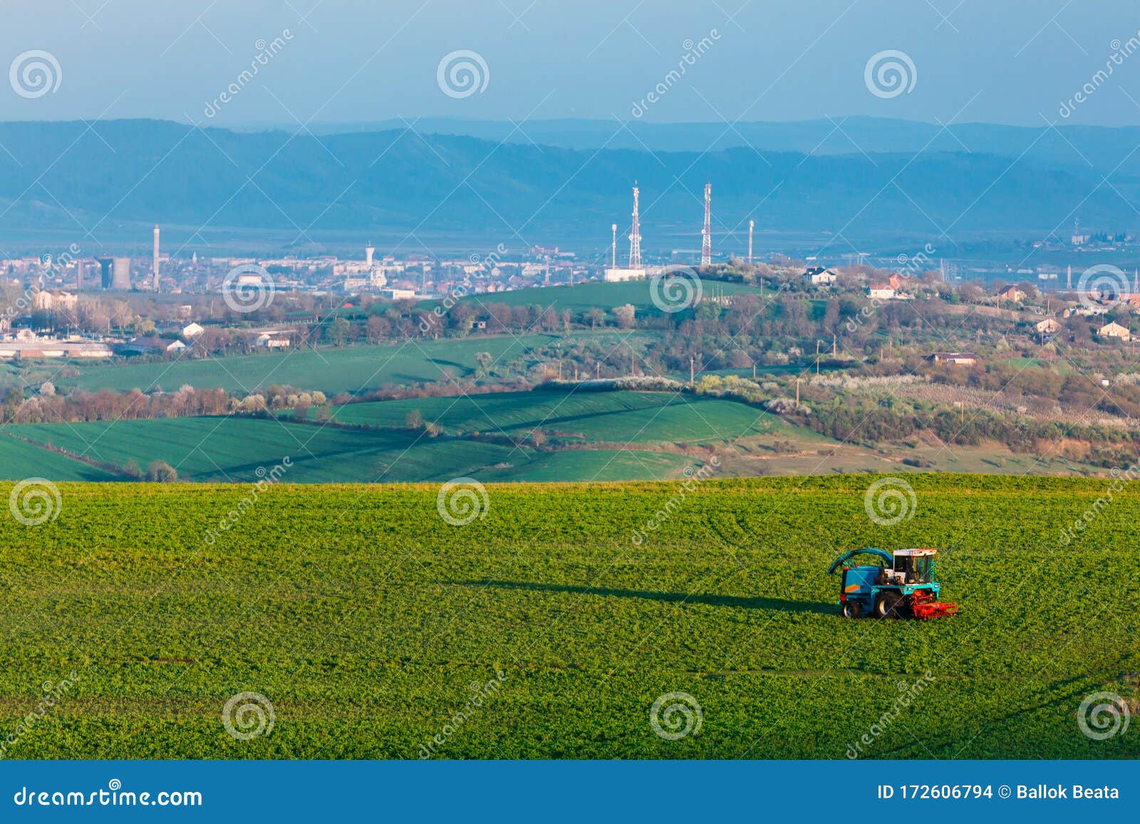 Rolling hills in spring stock photo. Image of agriculture - 172606794