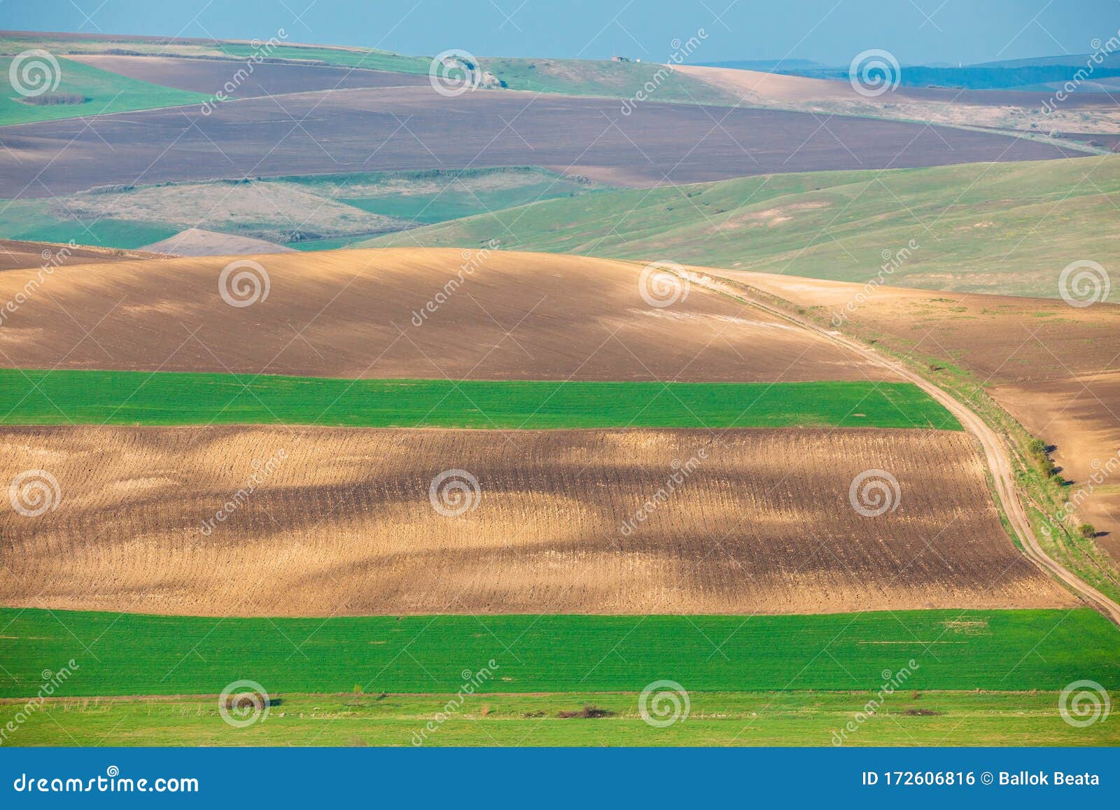 Rolling hills in spring stock photo. Image of field - 172606816