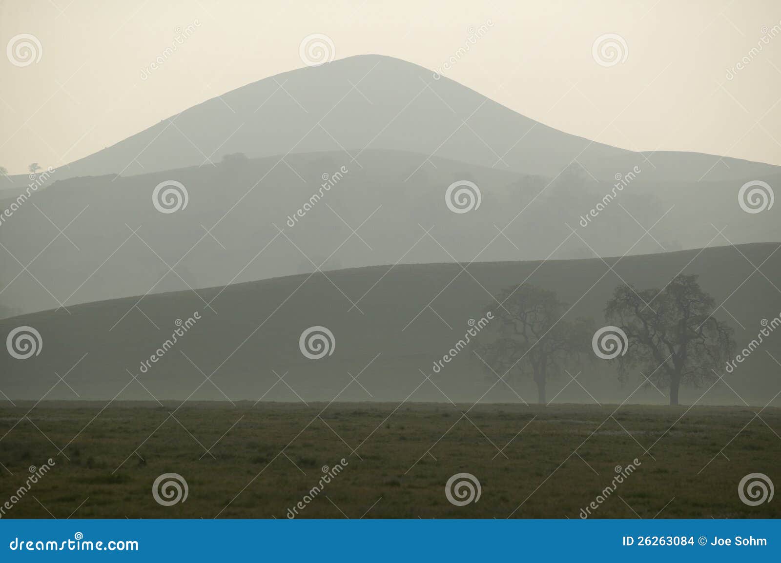 Rolling Hills in the Spring at Sunset Stock Photo - Image of trees ...