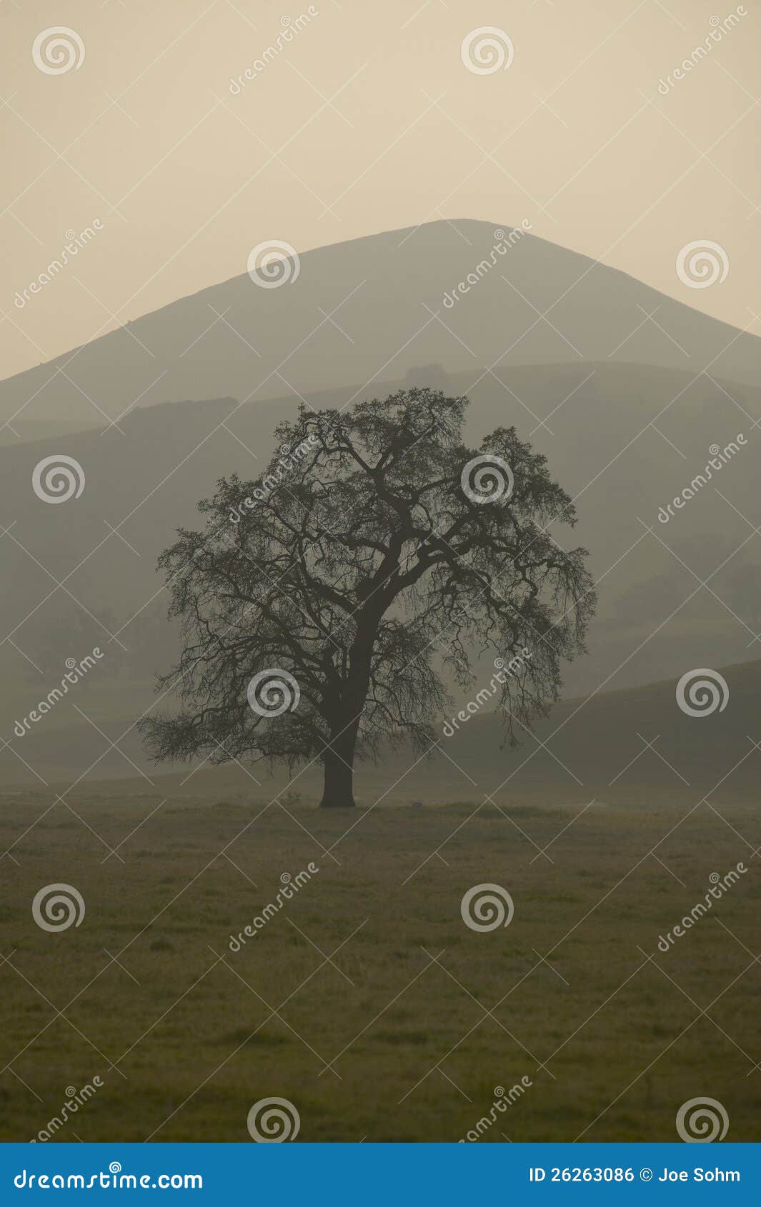 Rolling Hills in the Spring at Sunset Stock Photo - Image of lone ...