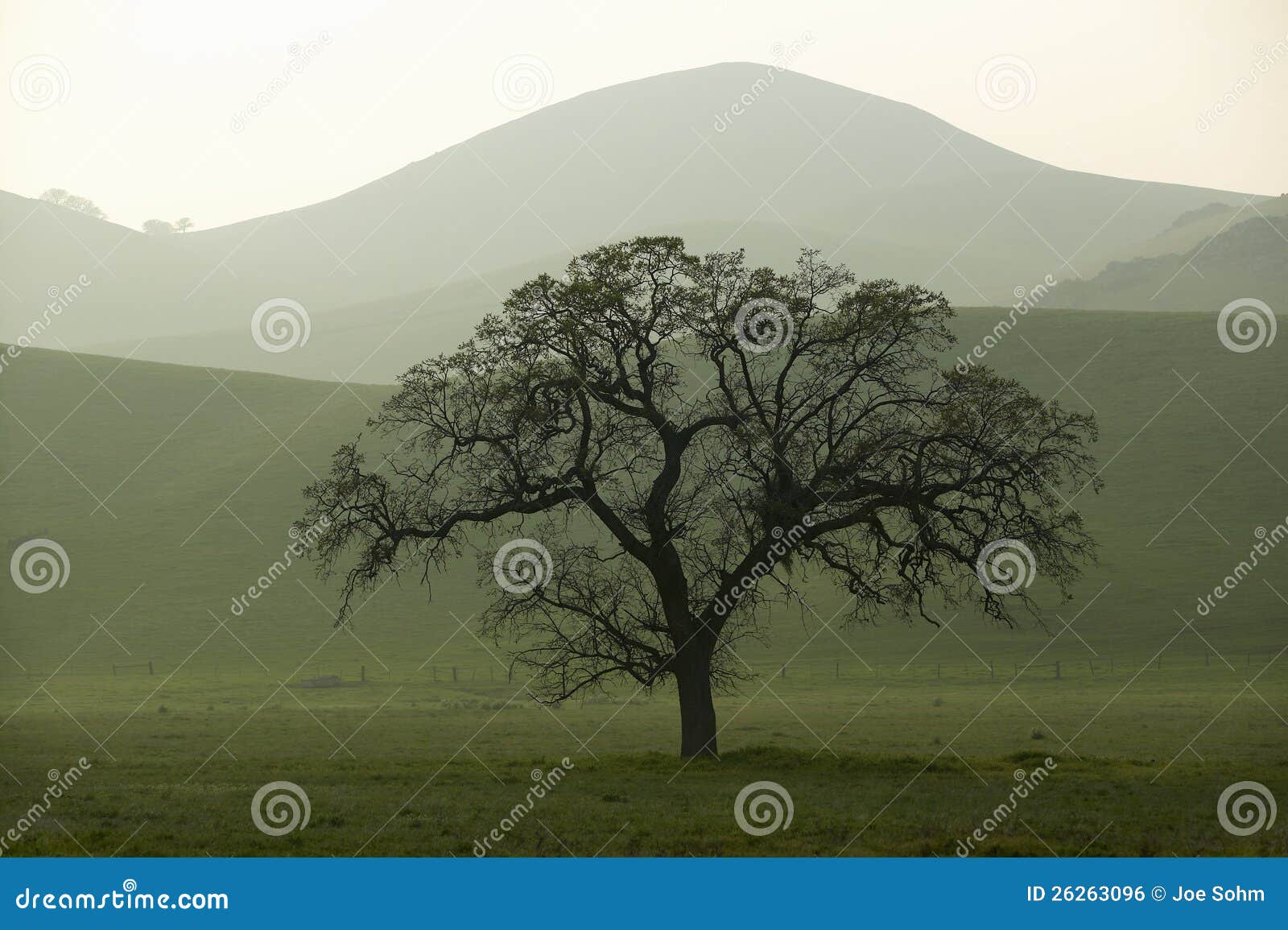 Rolling Hills in the Spring at Sunset Stock Photo - Image of lush ...