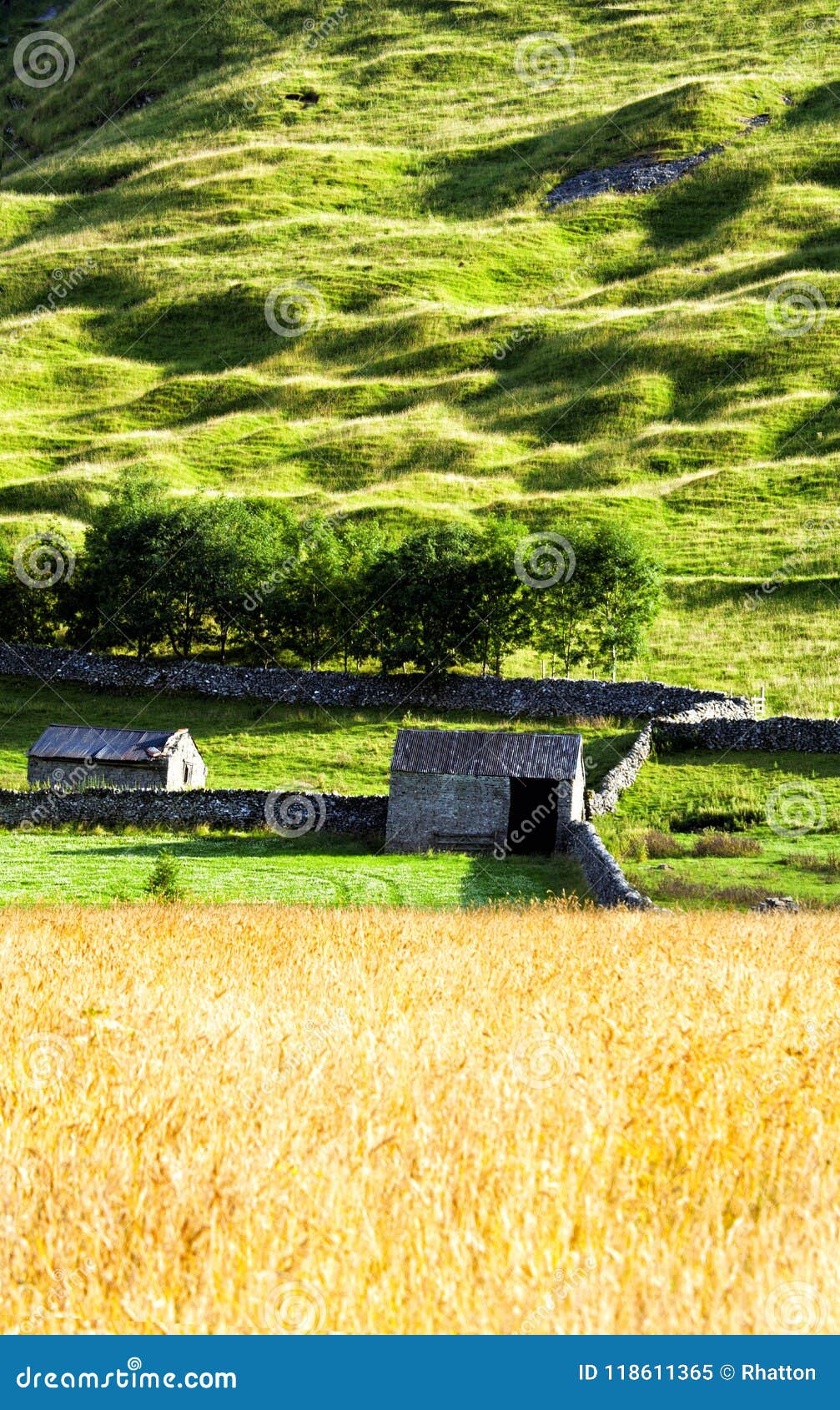 Rolling Hills of Summer stock image. Image of peak, green - 118611365