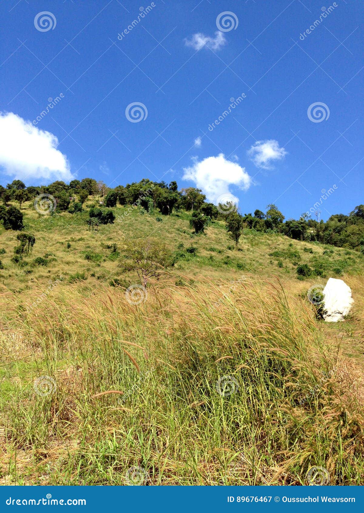 Rolling hills on sun light stock image. Image of sunlight - 89676467