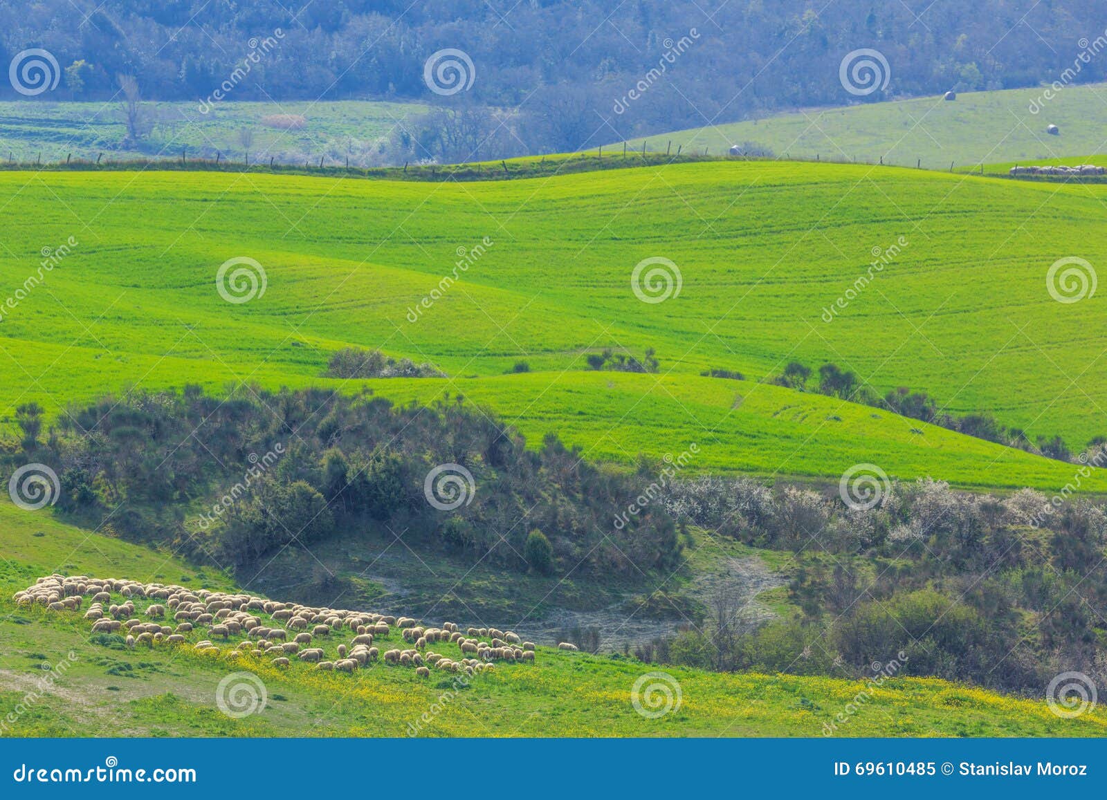Rolling Hills of Tuscany, Italy Stock Image - Image of hills, house ...