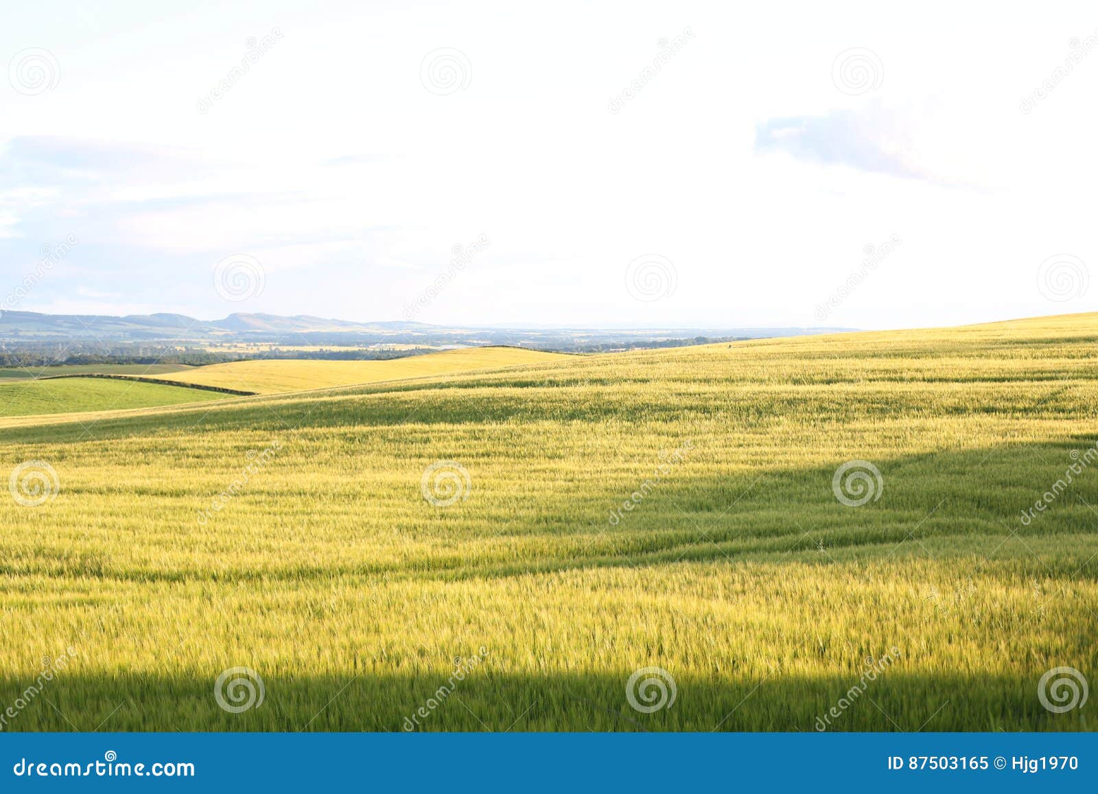 Rolling Hillside in Scotland, Great Britain Stock Image - Image of ...