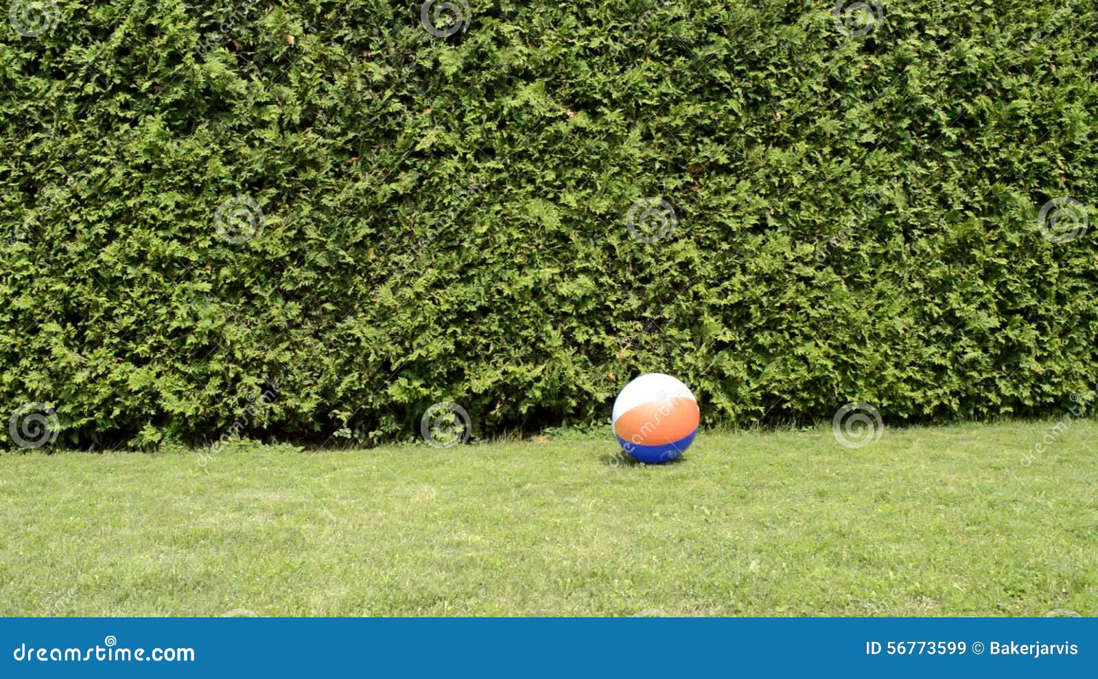 Rolling Inflatable Ball on Grass Stock Video - Video of background ...