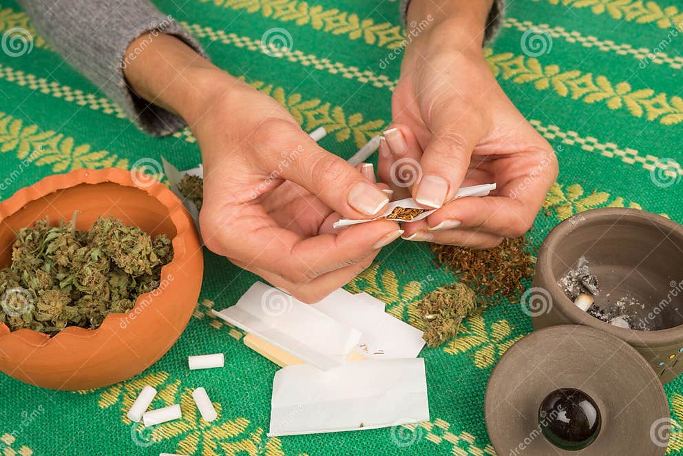 Rolling a joint stock image. Image of book, studio, hemp - 65001039