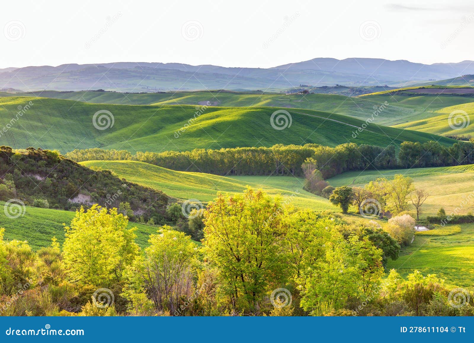 Rolling Landscape of Hills and Fields Stock Photo - Image of horizon ...