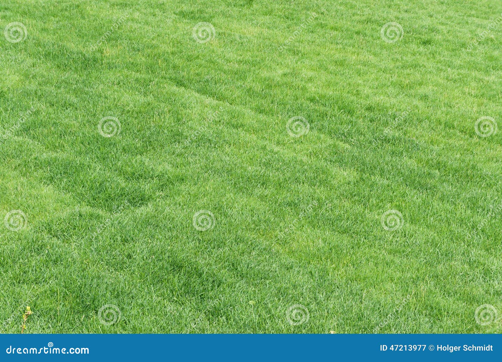 Rolling lawn stock image. Image of freshness, vibrant - 47213977