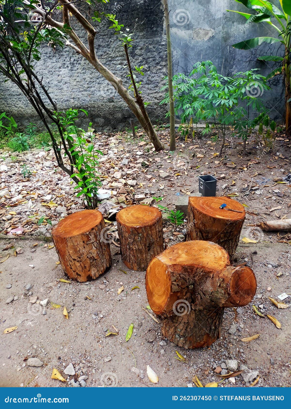 Rolling logs in the field stock photo. Image of quietly - 262307450